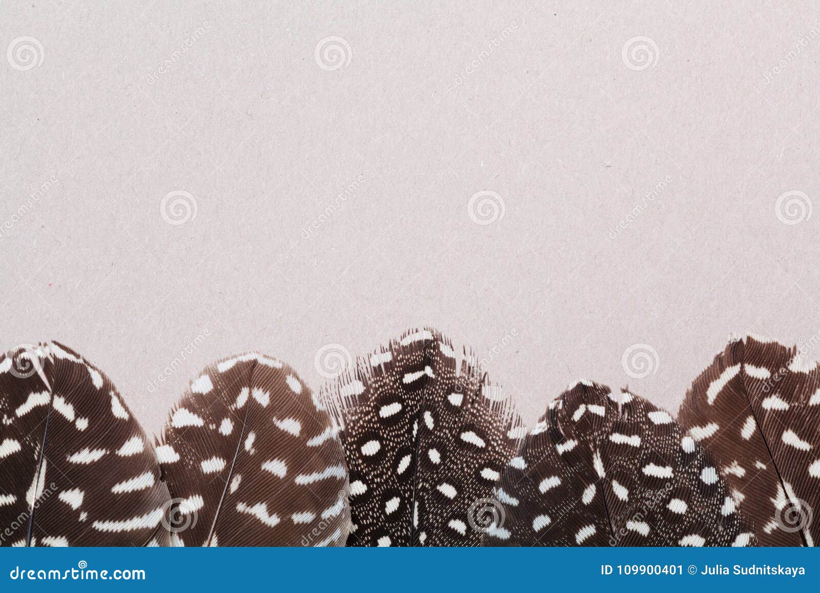 Red Feather Border Stock Photography | CartoonDealer.com #11896388