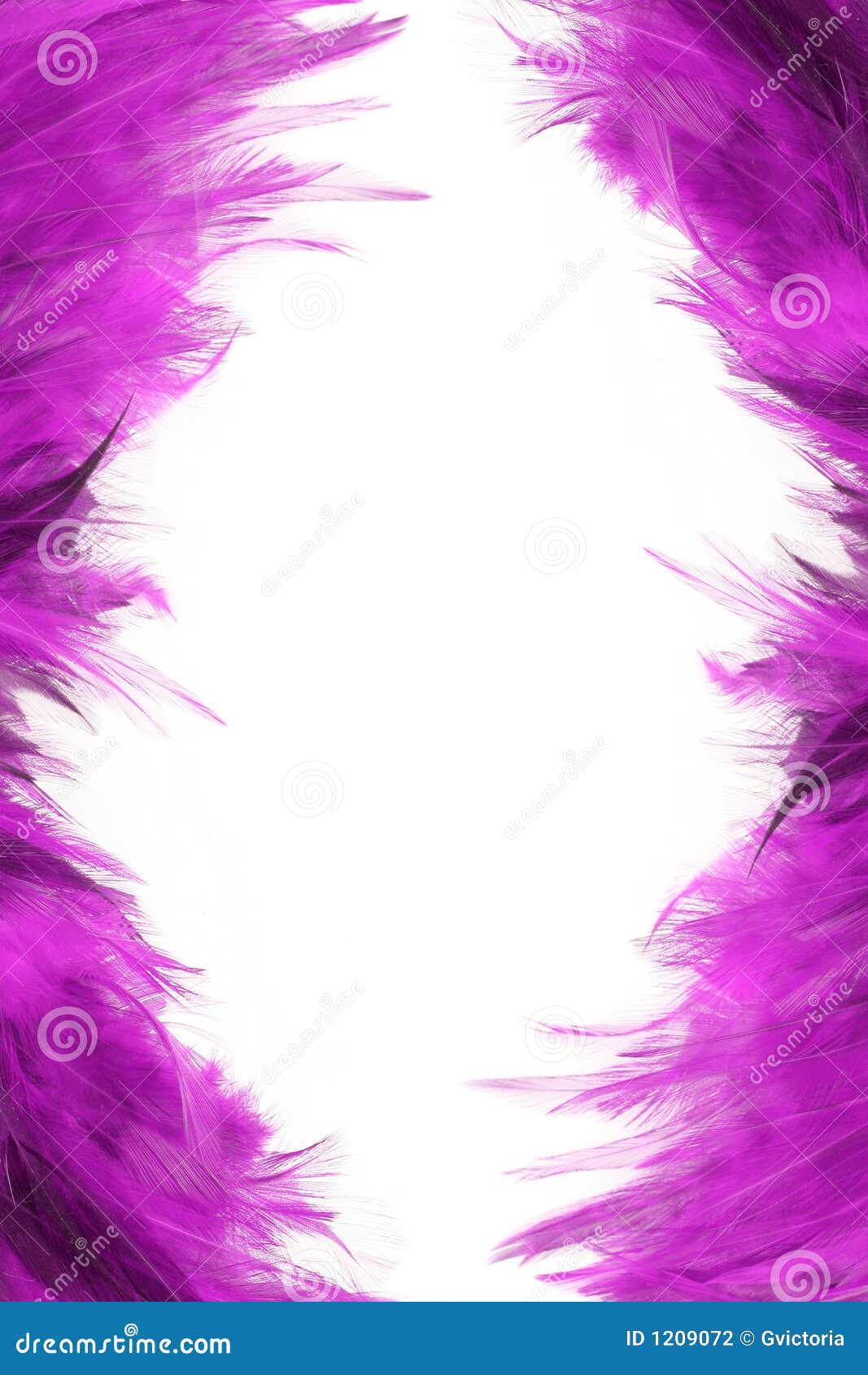 Feather borders stock photo. Image of glamorous, tickler - 1209072