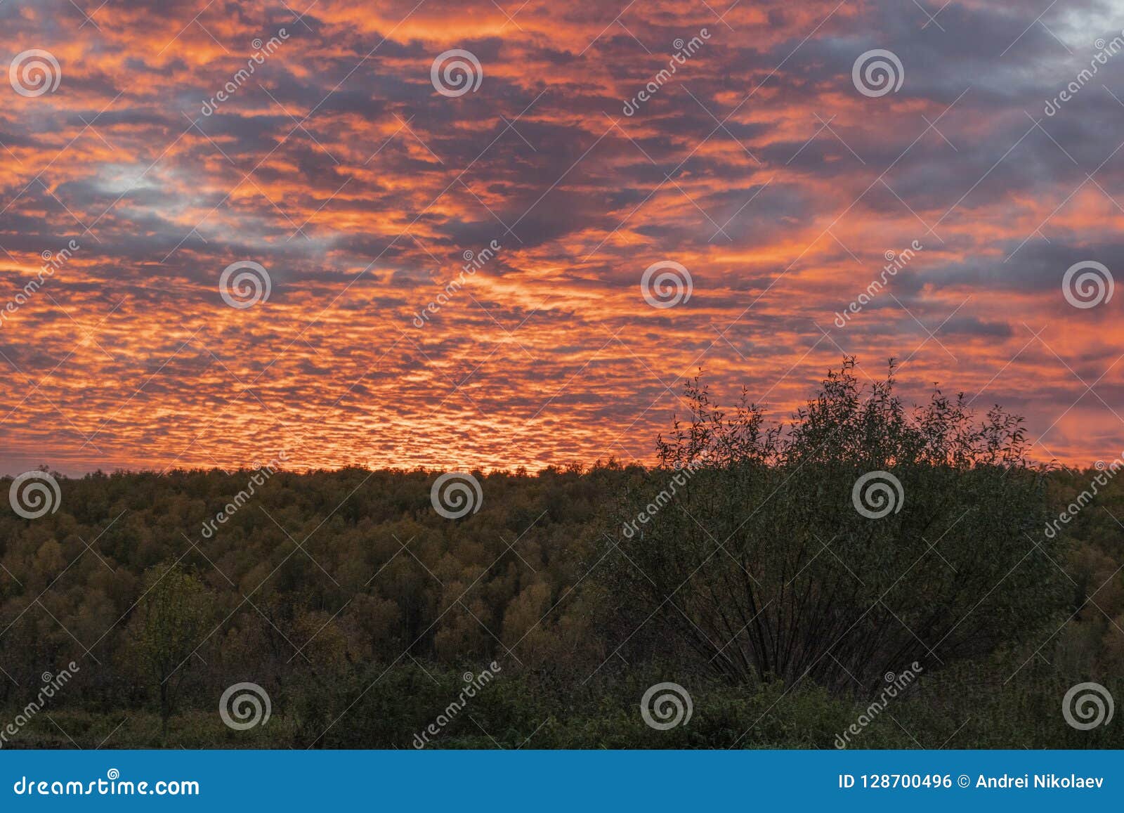 Feather clouds at sunset stock photo. Image of meteorology - 128700496