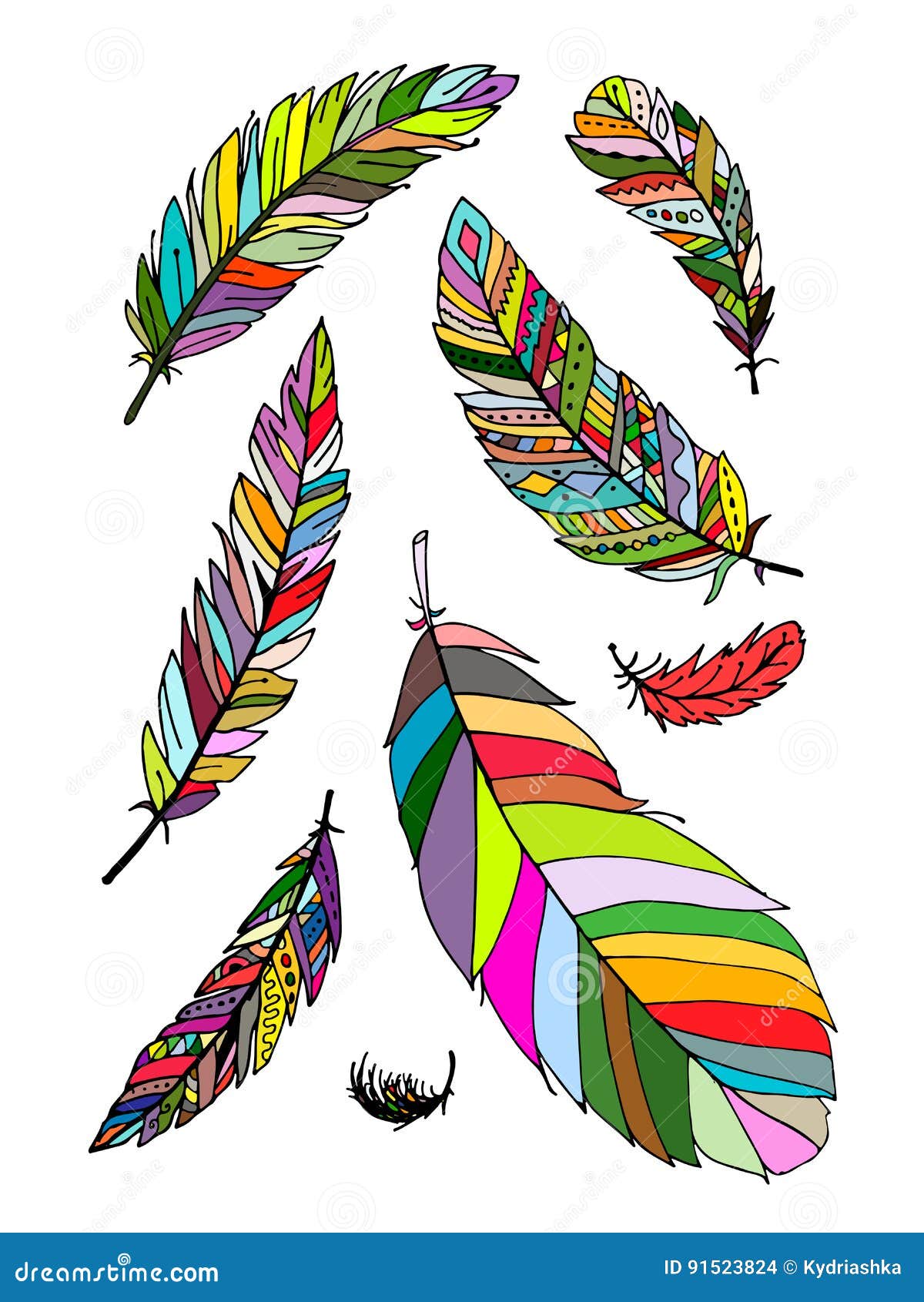 Feather Collection for Your Design Stock Vector - Illustration of ...