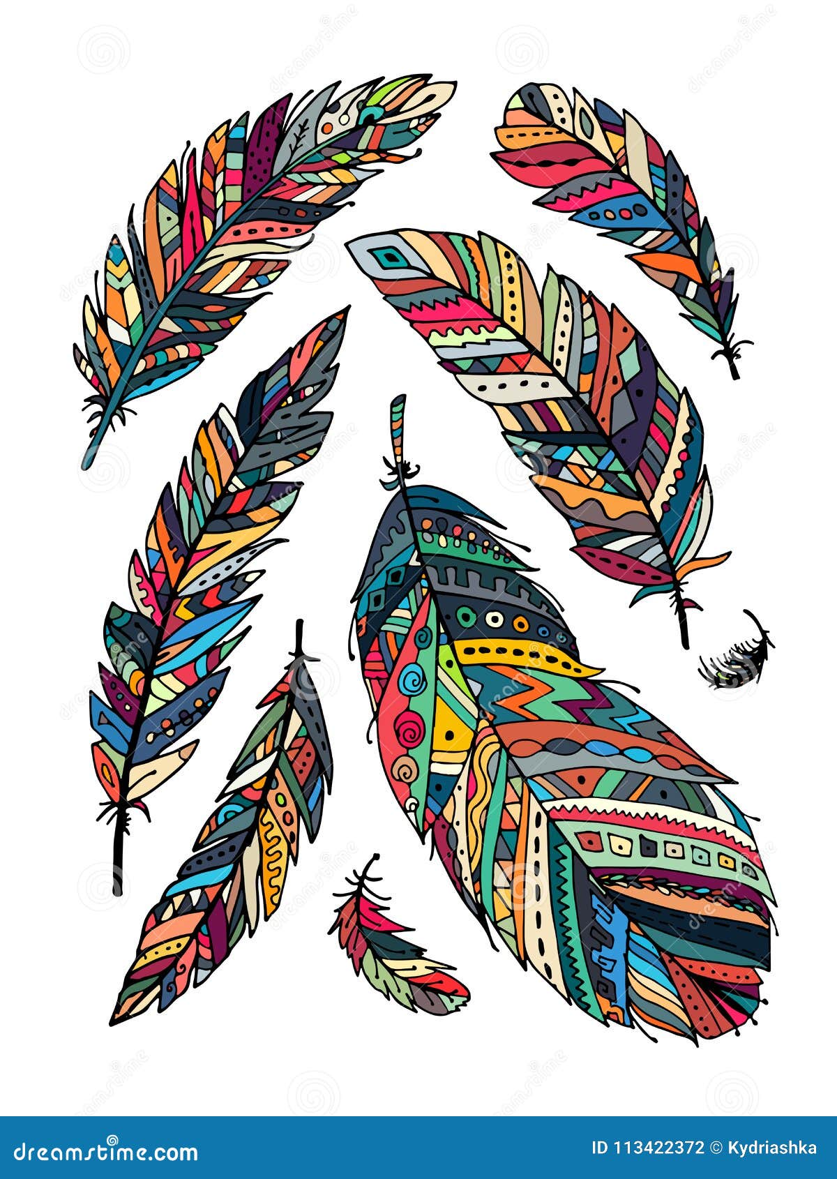 Feather Collection for Your Design Stock Vector - Illustration of ...