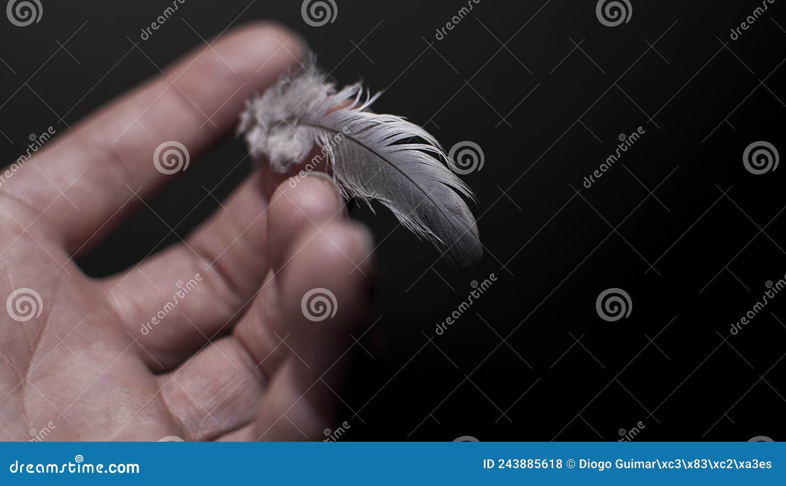 Feather color hands stock photo. Image of hands, soft - 243885618