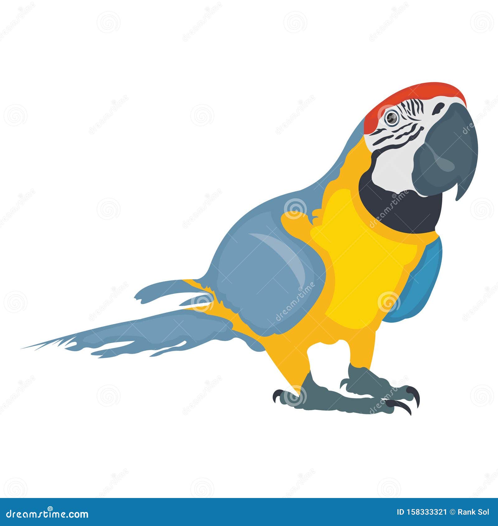 Feather Creature, Macaw Vector Icon Stock Vector - Illustration of ...