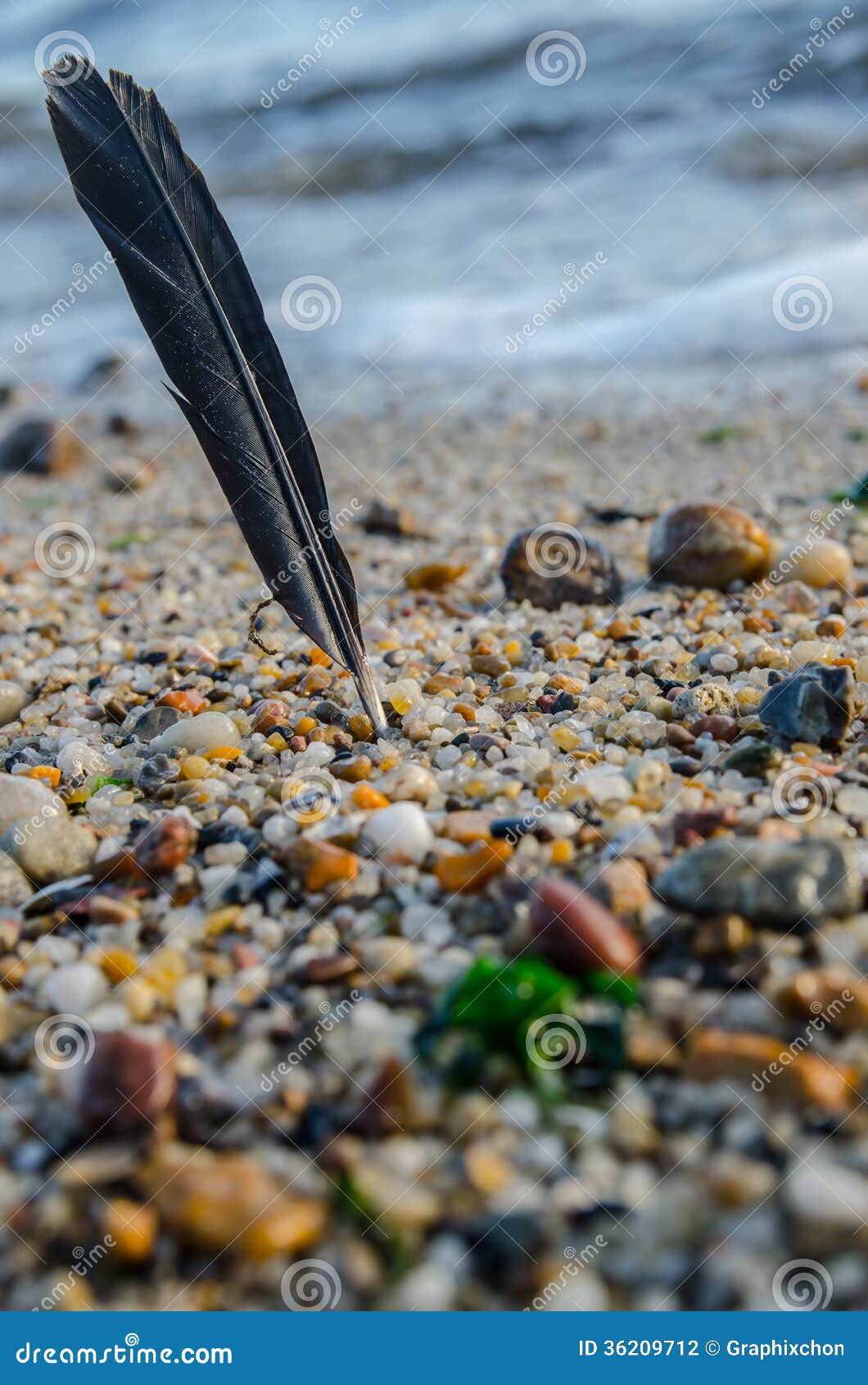 Feather stock photo. Image of ocean, feather, back, water - 36209712