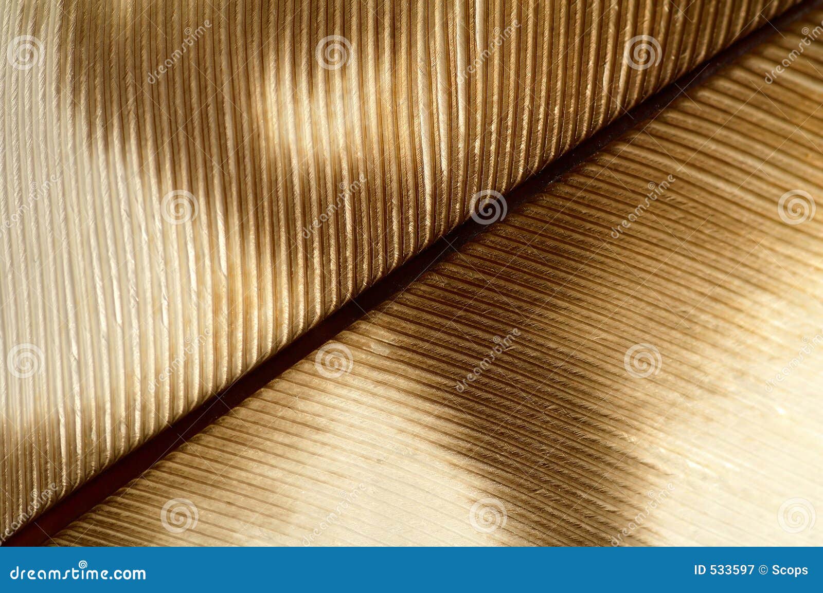 Feather detail stock image. Image of pattern, plume, composition - 533597