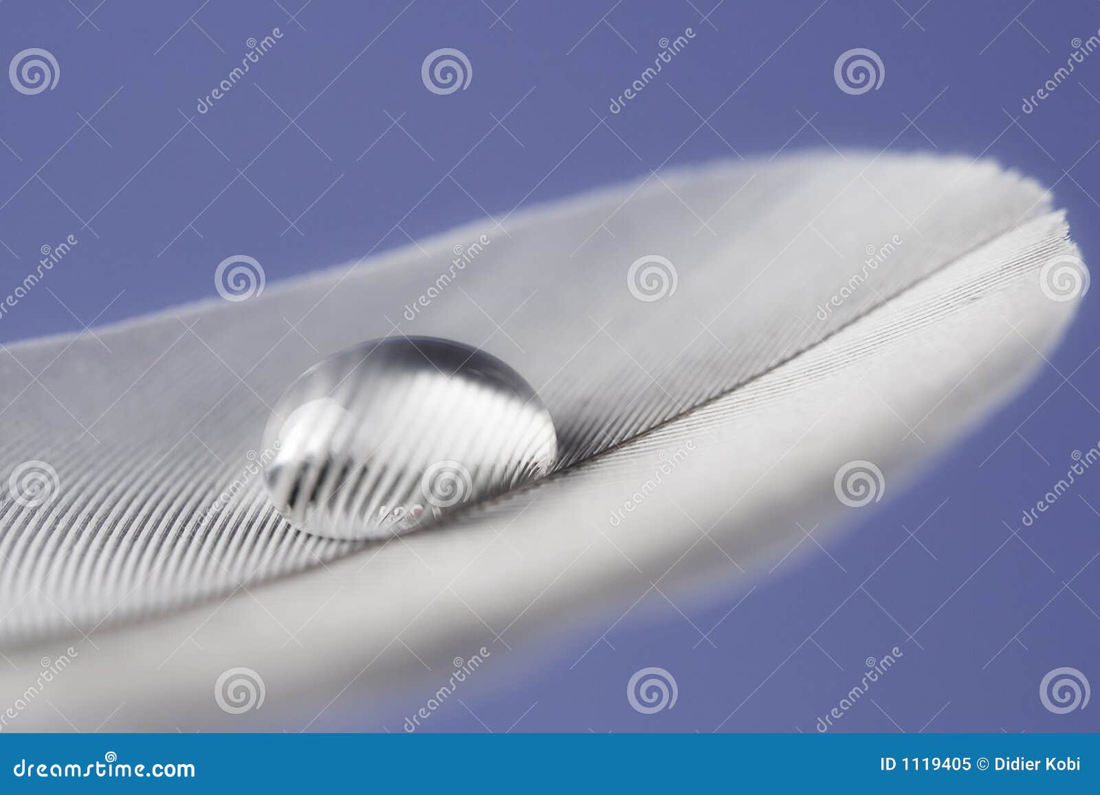 Feather Drop stock image. Image of blue, puff, delicate - 1119405