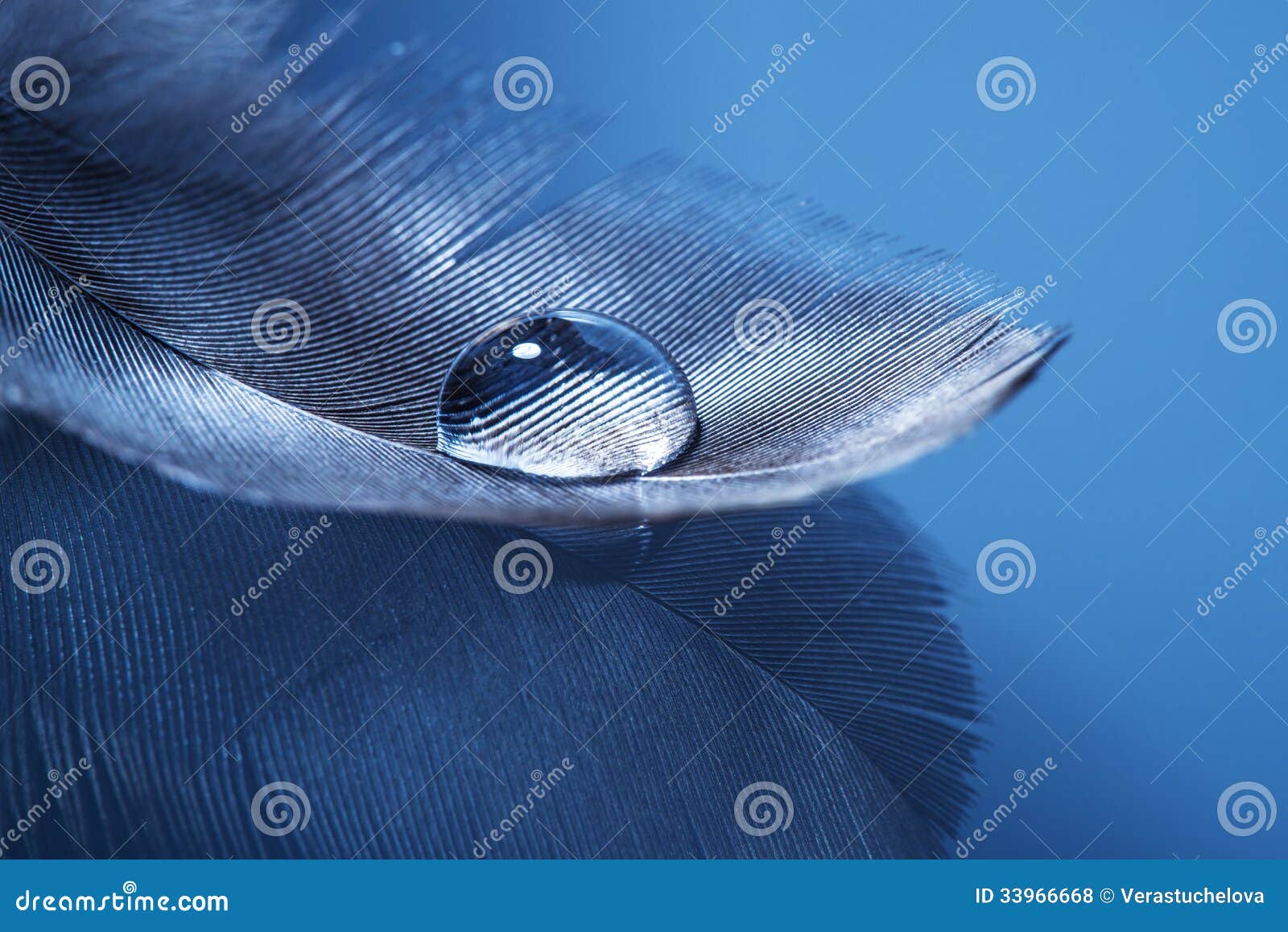 Feather with a drop stock photo. Image of dreams, blue - 33966668