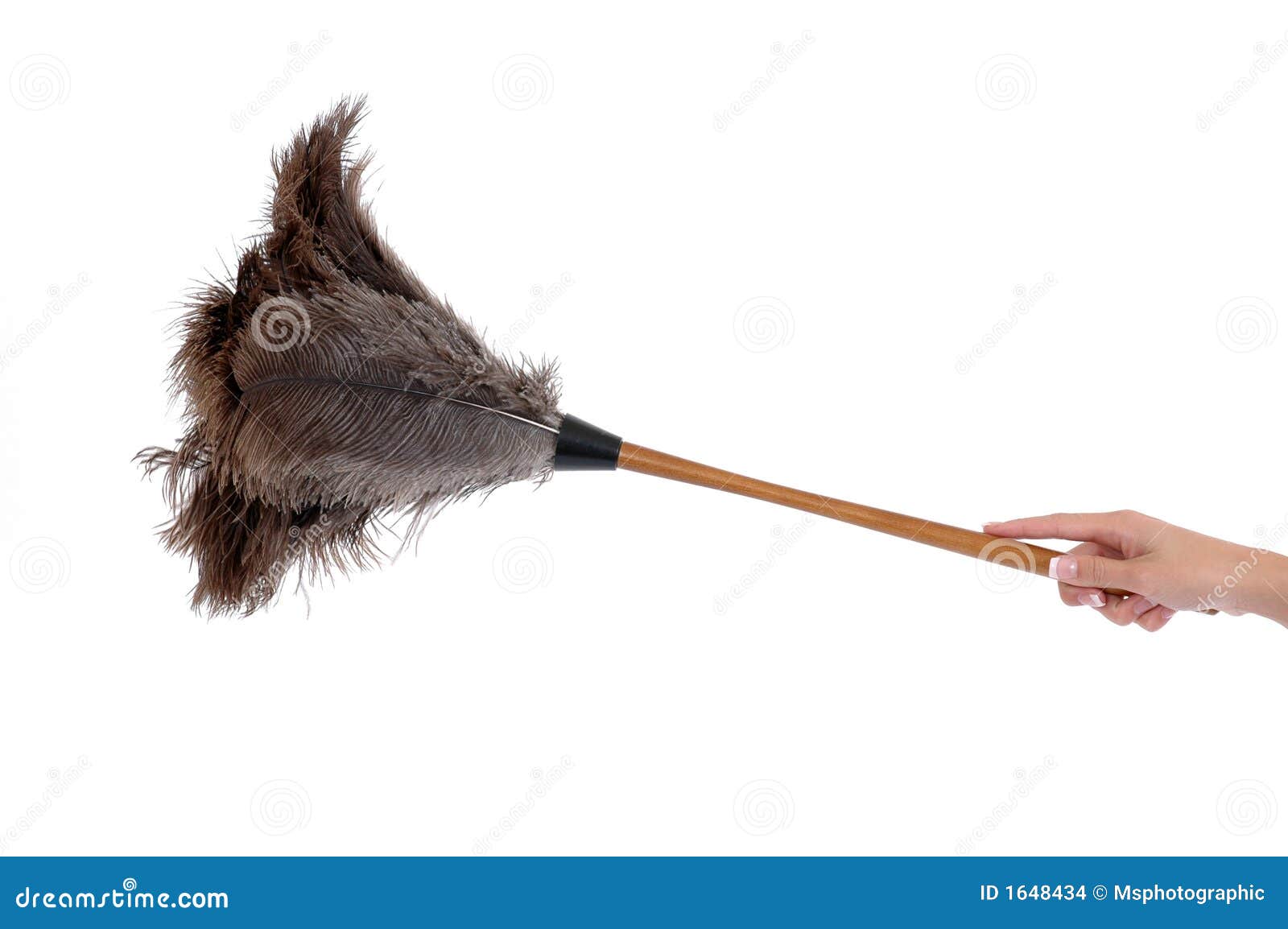 Feather Duster stock photo. Image of equipment, household - 1648434
