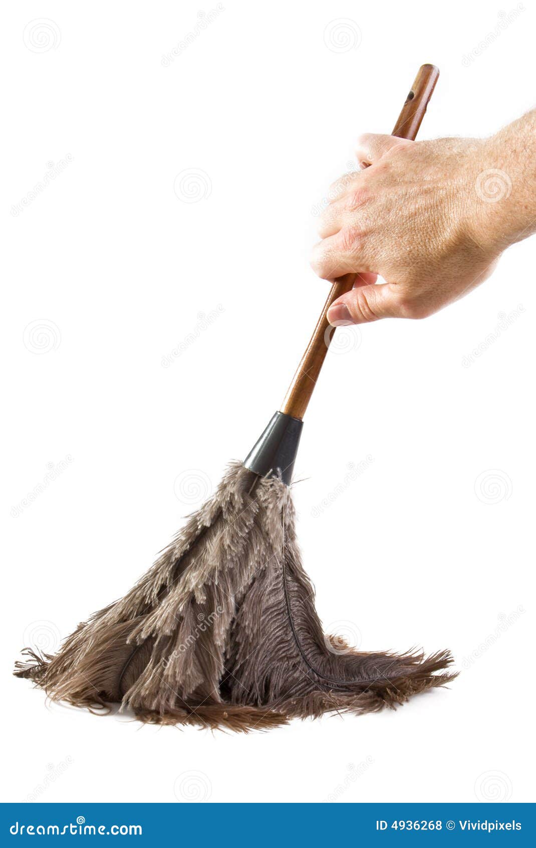 Feather Duster stock photo. Image of work, housekeeper - 4936268