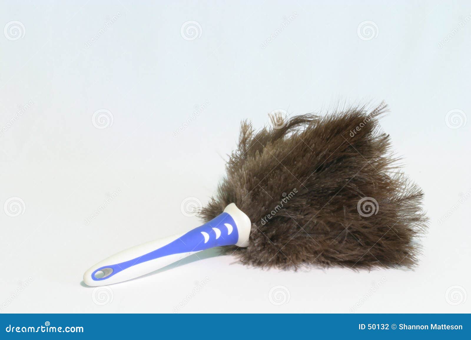 Feather Duster stock photo. Image of isolated, ostrich, cleaner - 50132
