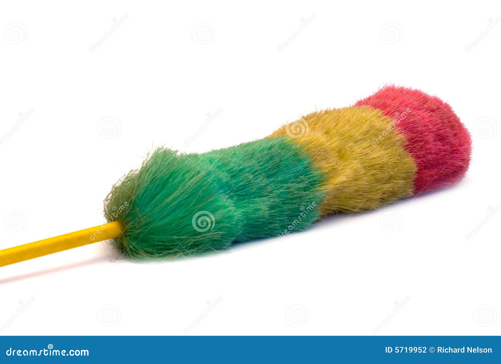 Feather Duster stock photo. Image of object, item, tickle - 5719952