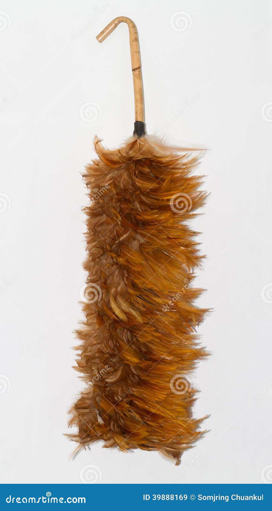 Feather duster stock image. Image of tool, clear, home - 39888169