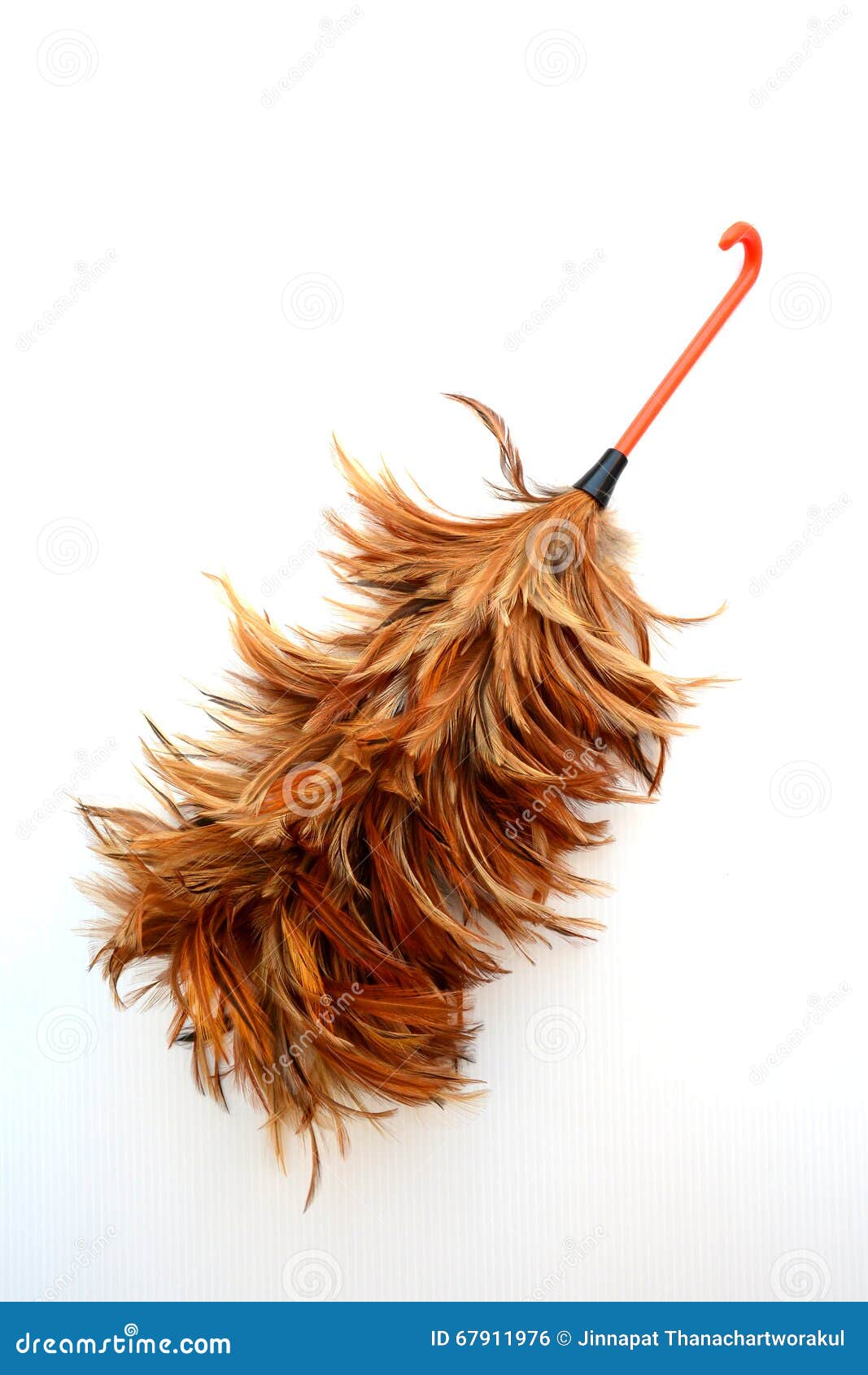 Feather duster stock photo. Image of household, care - 67911976
