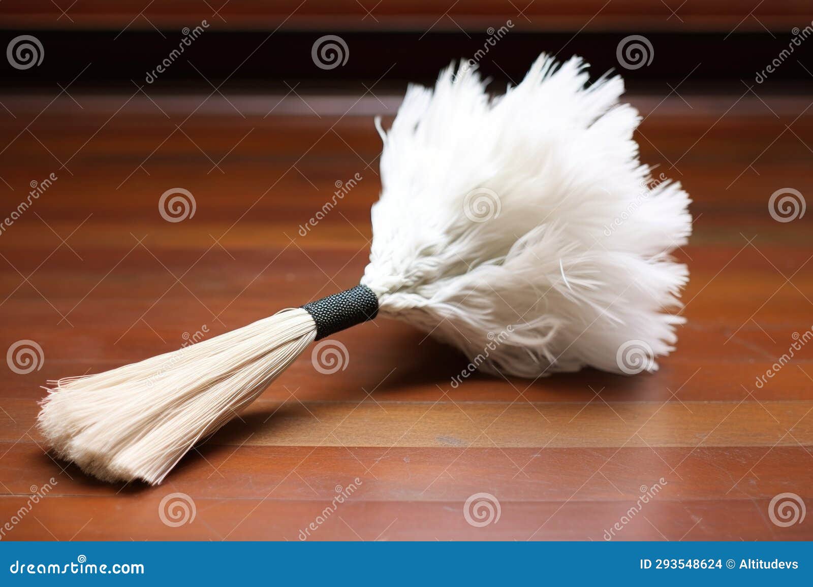 Feather Duster Used in Traditional Tai Chi Training Stock Photo - Image ...