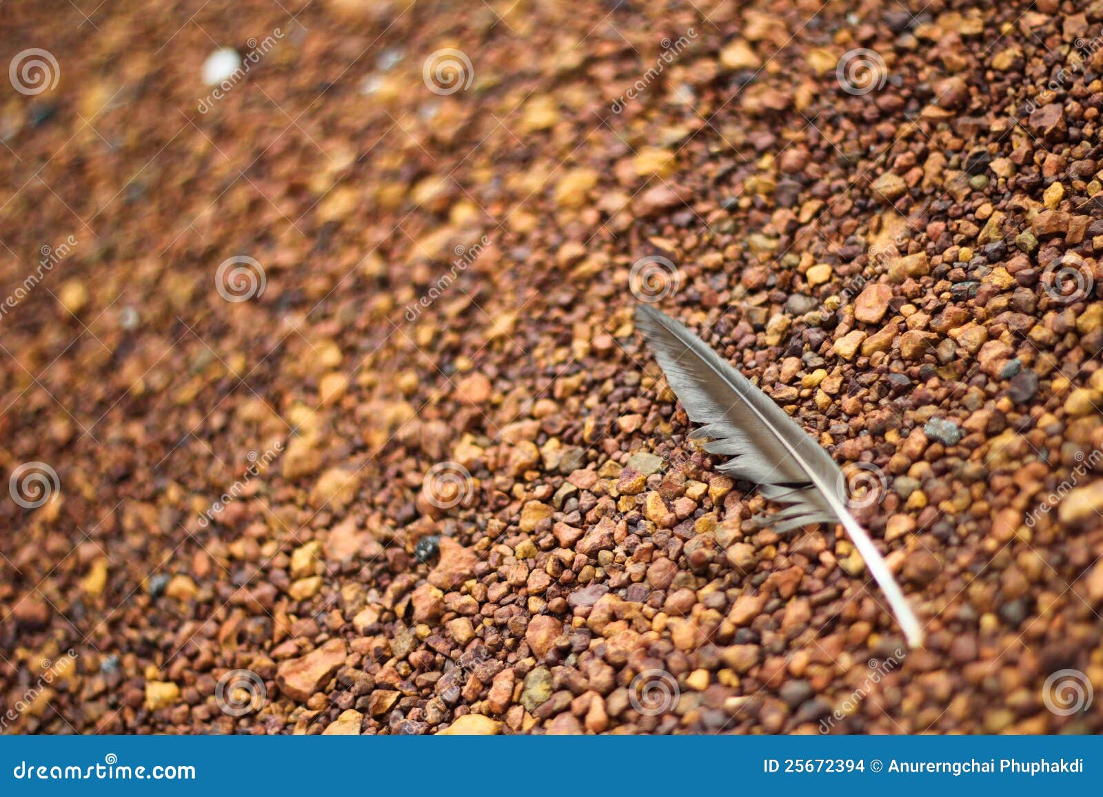 Feather Earth stock photo. Image of detail, purity, single - 25672394