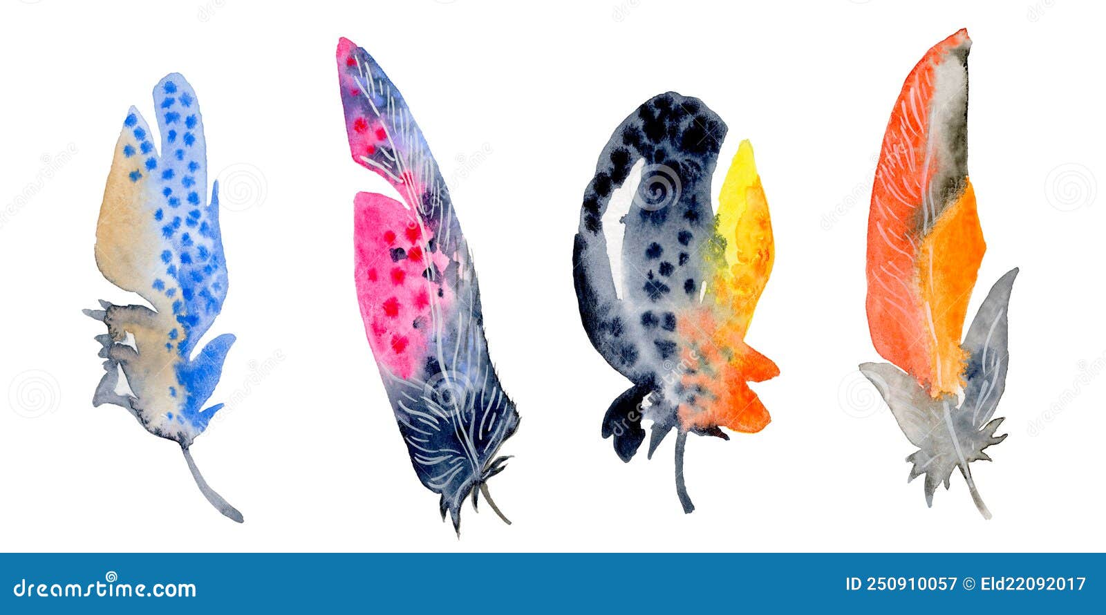 Feather Element Set. Hand Drawn Watercolor Illustration Stock ...