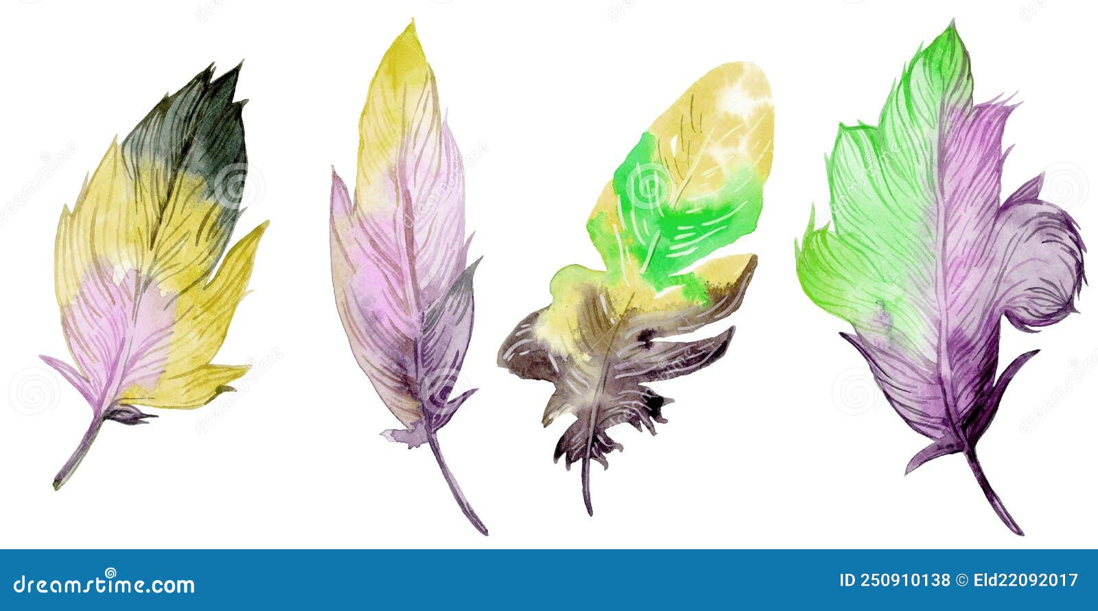 Feather Element Set. Hand Drawn Watercolor Illustration Stock ...