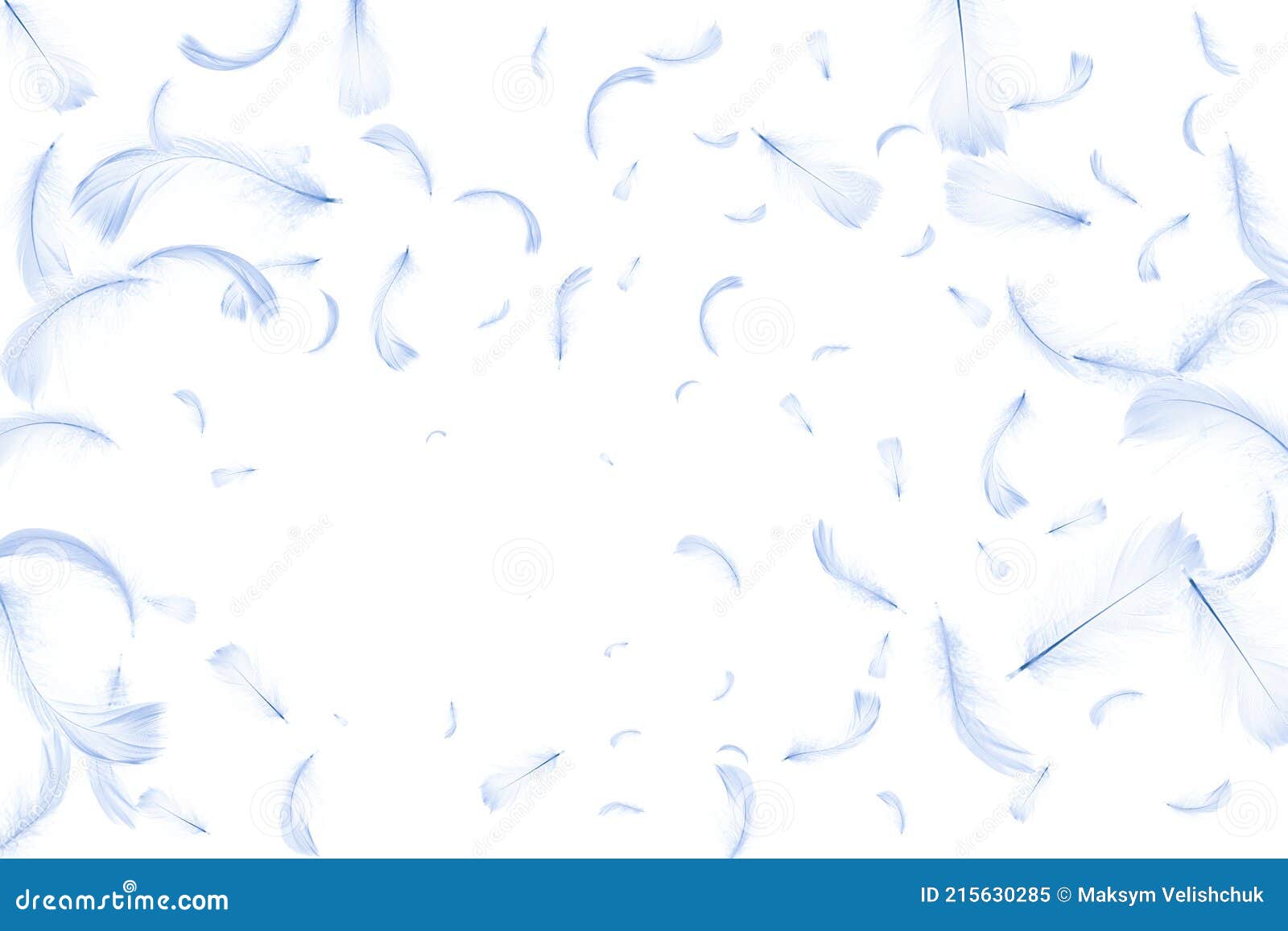 Feather Falling. Nature Abstract Bird Feather Texture Closeup Falling ...