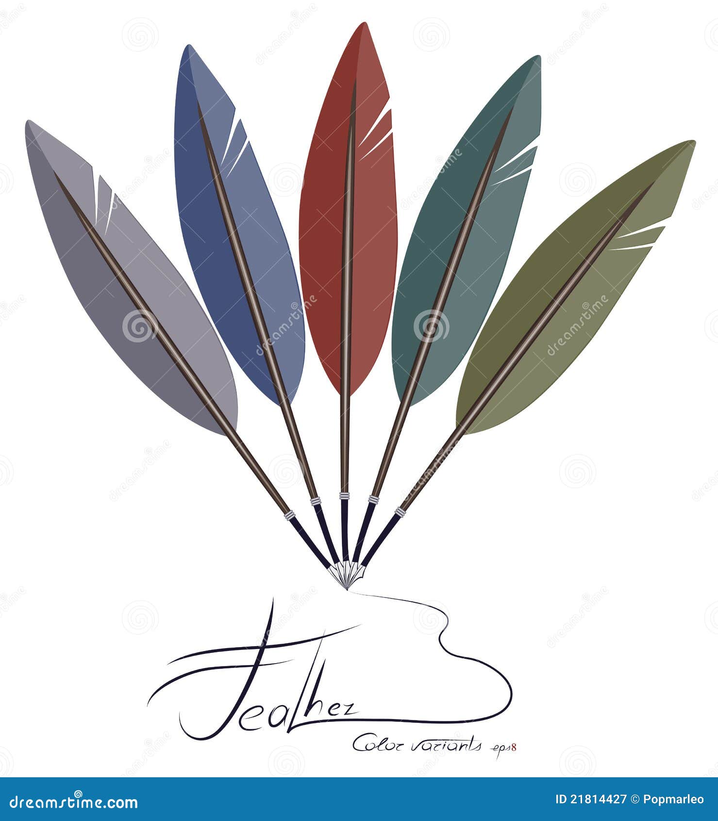 Feather fantail stock vector. Illustration of education - 21814427