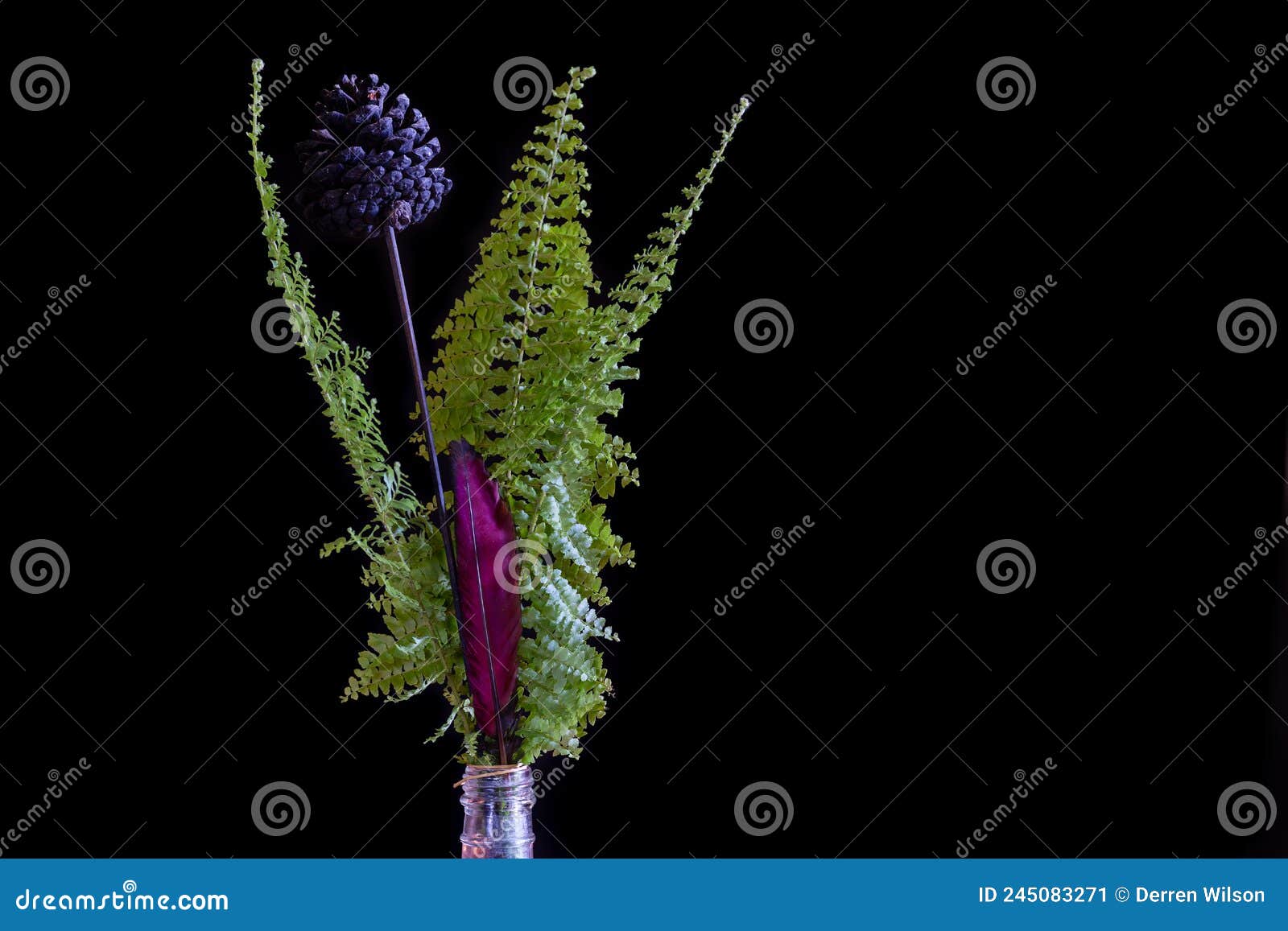 Feather Fern and Pine Cone Displayin Bottle Stock Image - Image of ...