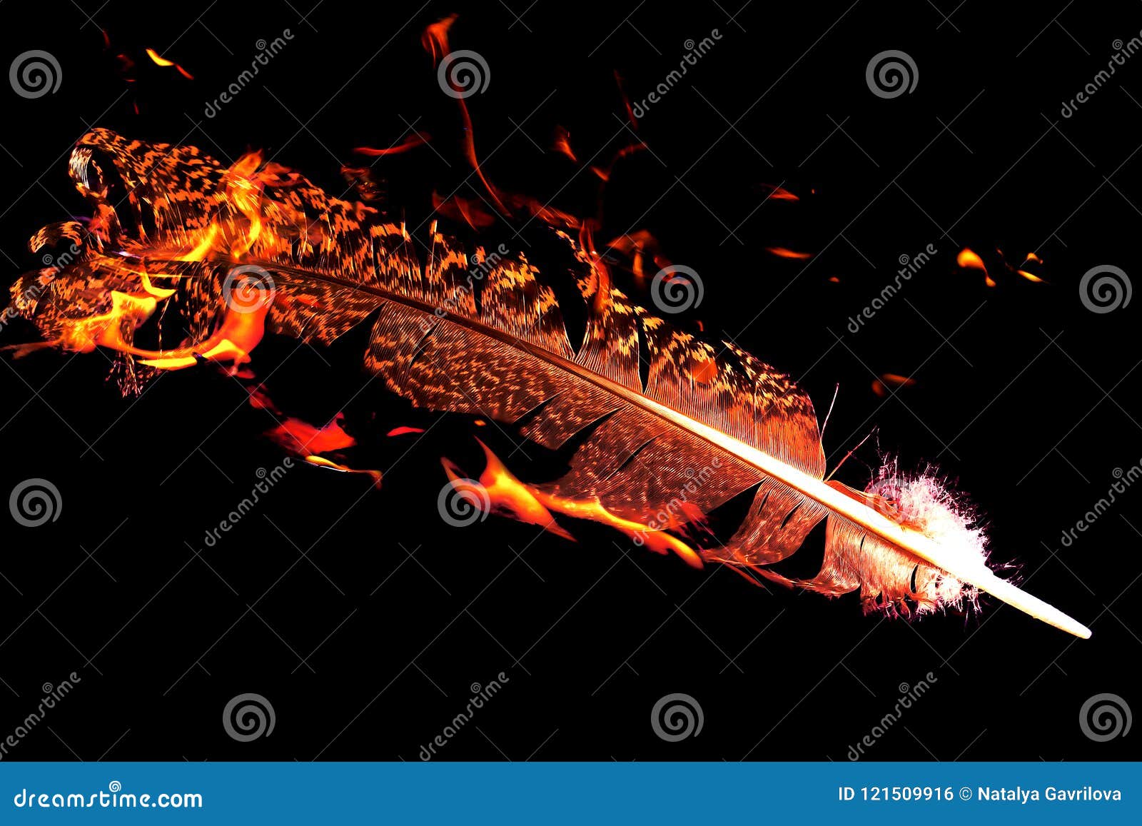 649 Feather Fire Black Background Stock Photos - Free & Royalty-Free ...
