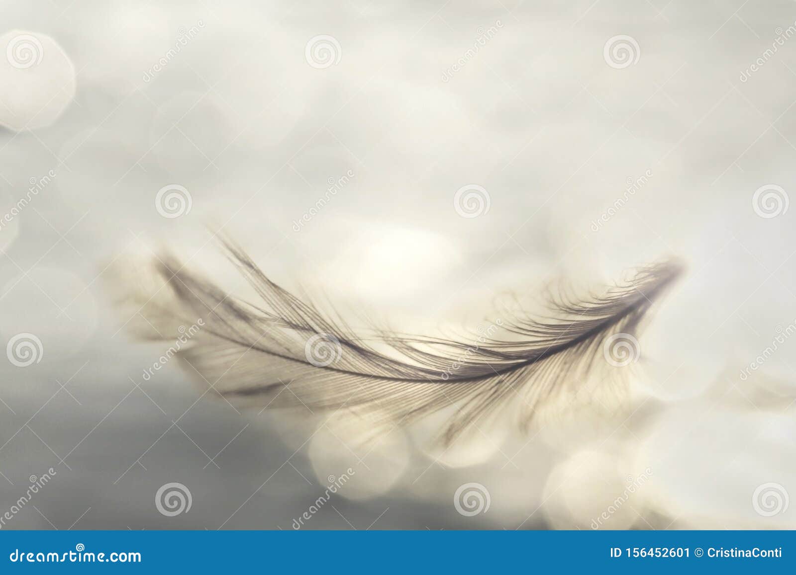 Feather Flies Gently into the Sky, Concept of Lightness Stock Image ...