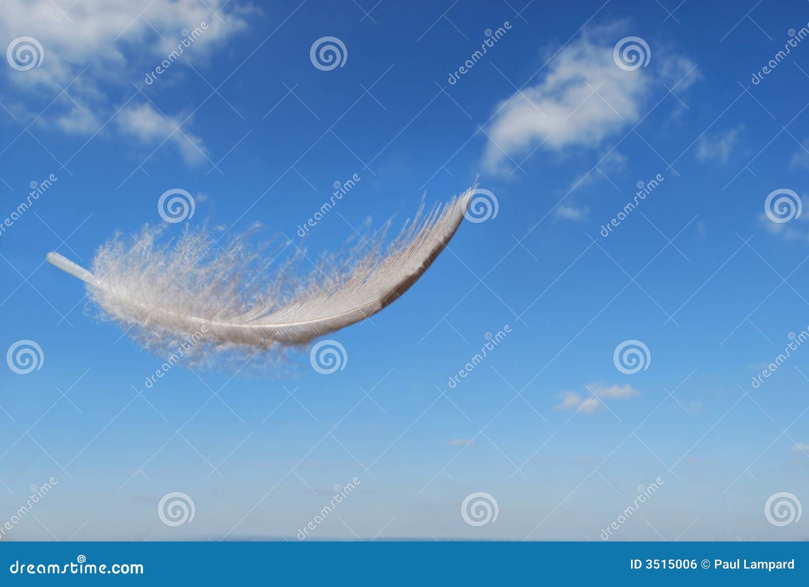 Feather Floating in the Sky Stock Photo - Image of feather, breeze: 3515006