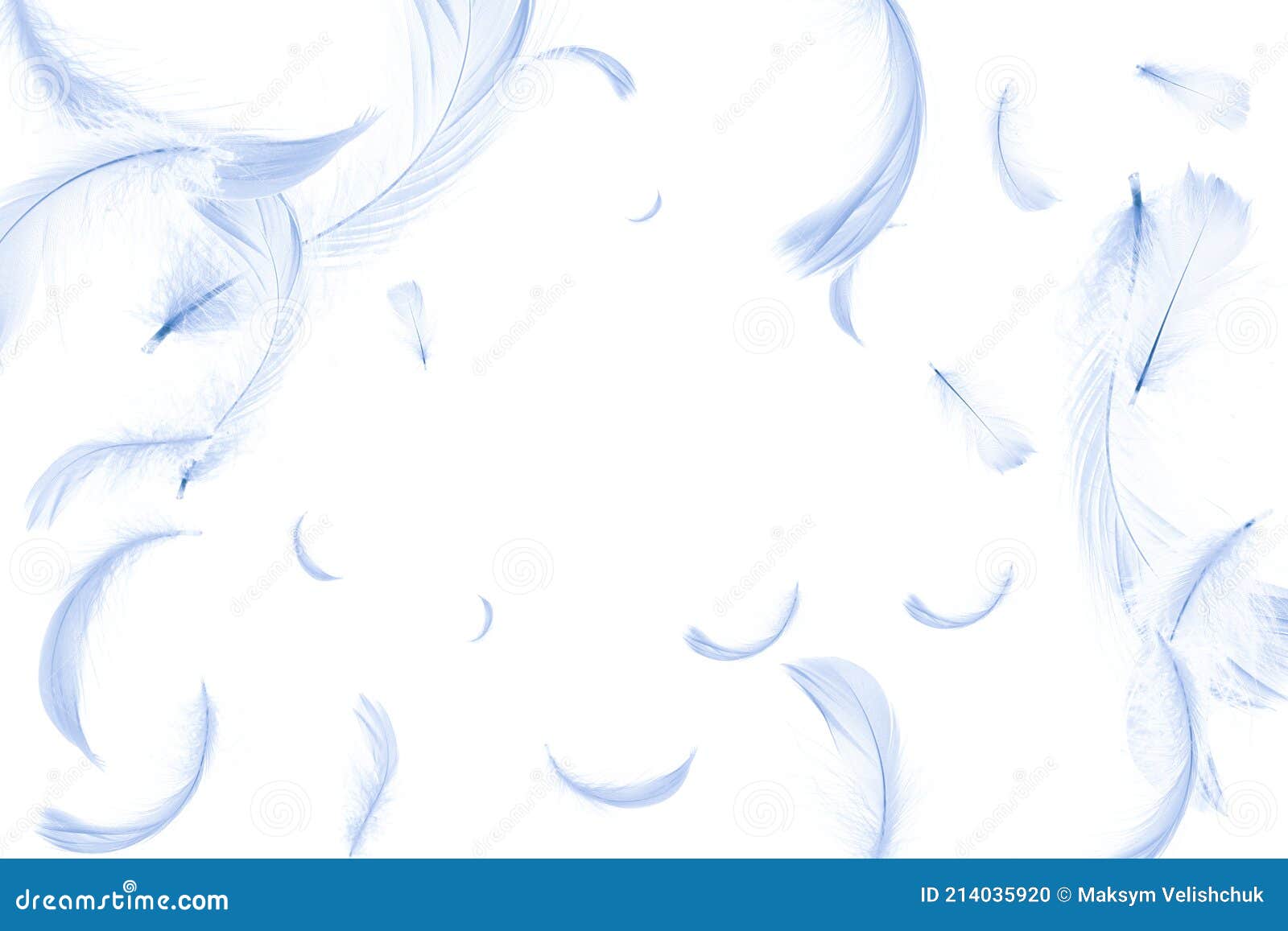 Feather Fly. Nature Abstract Bird Feather Texture Closeup Isolated on ...