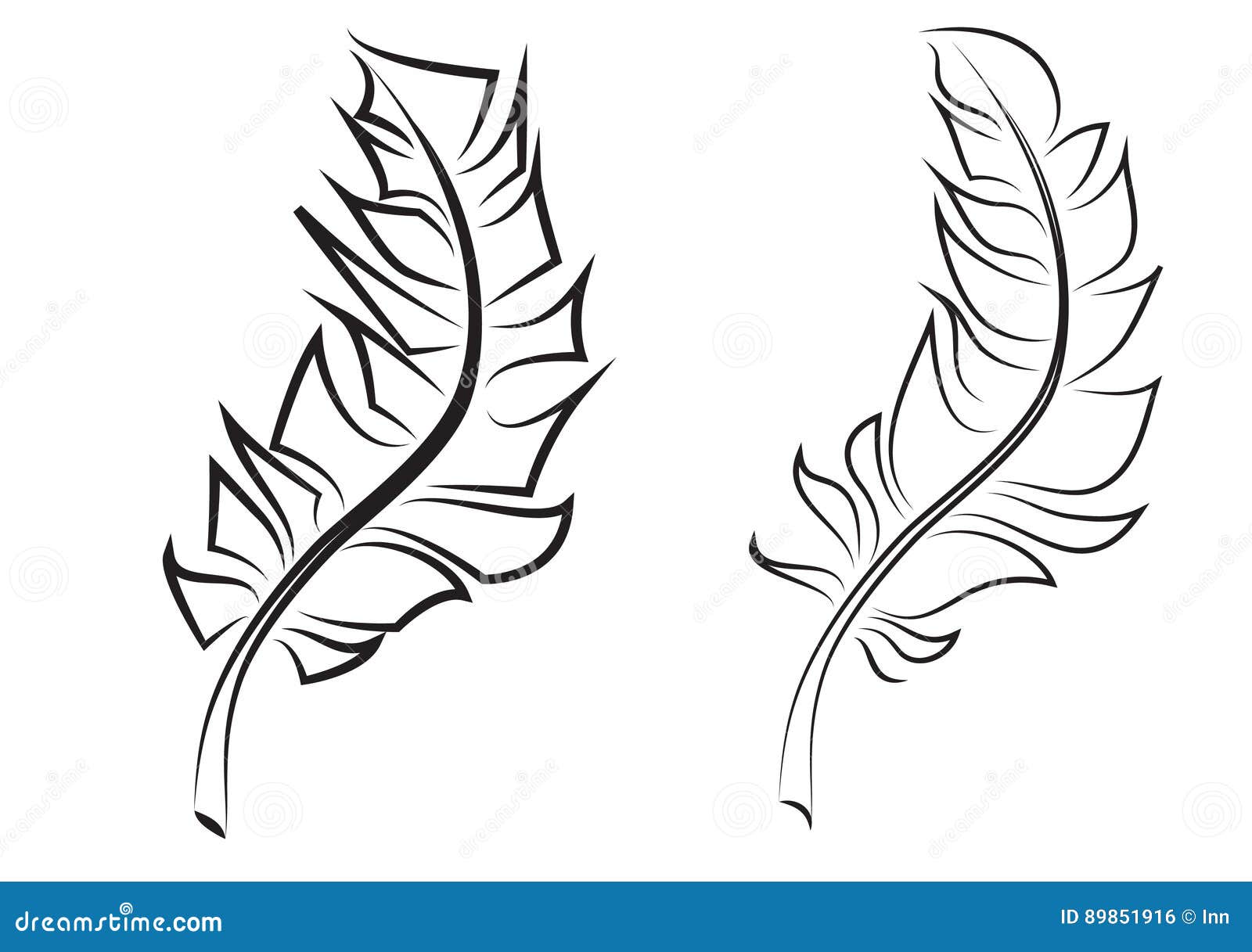 Feather graphic line stock vector. Illustration of texture - 89851916
