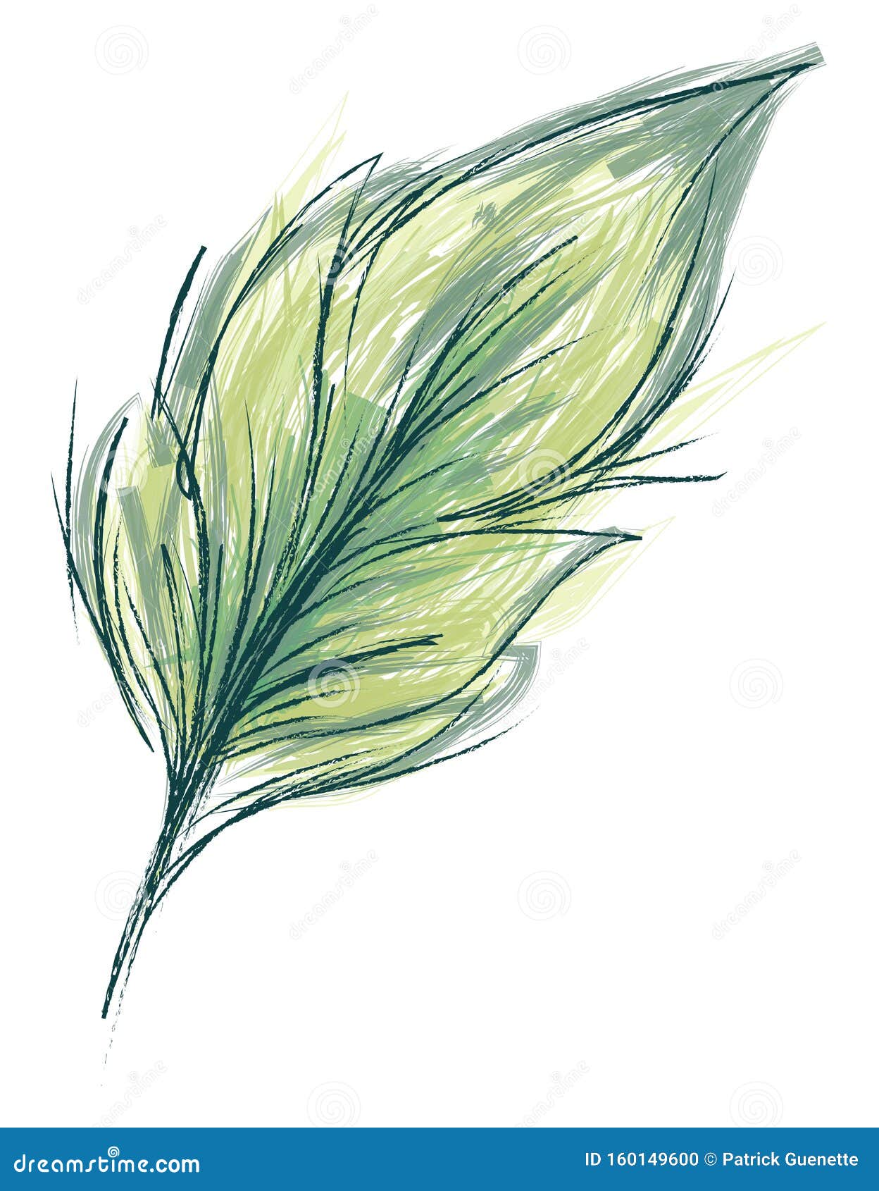 Feather with Green Threads Vector or Color Illustration Stock Vector ...