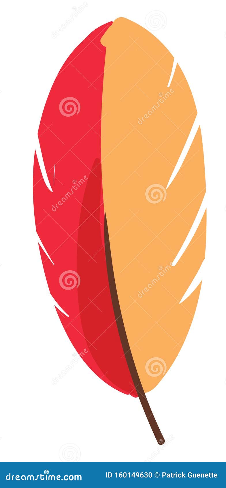 Red and Yellow Feather Vector or Color Illustration Stock Vector ...