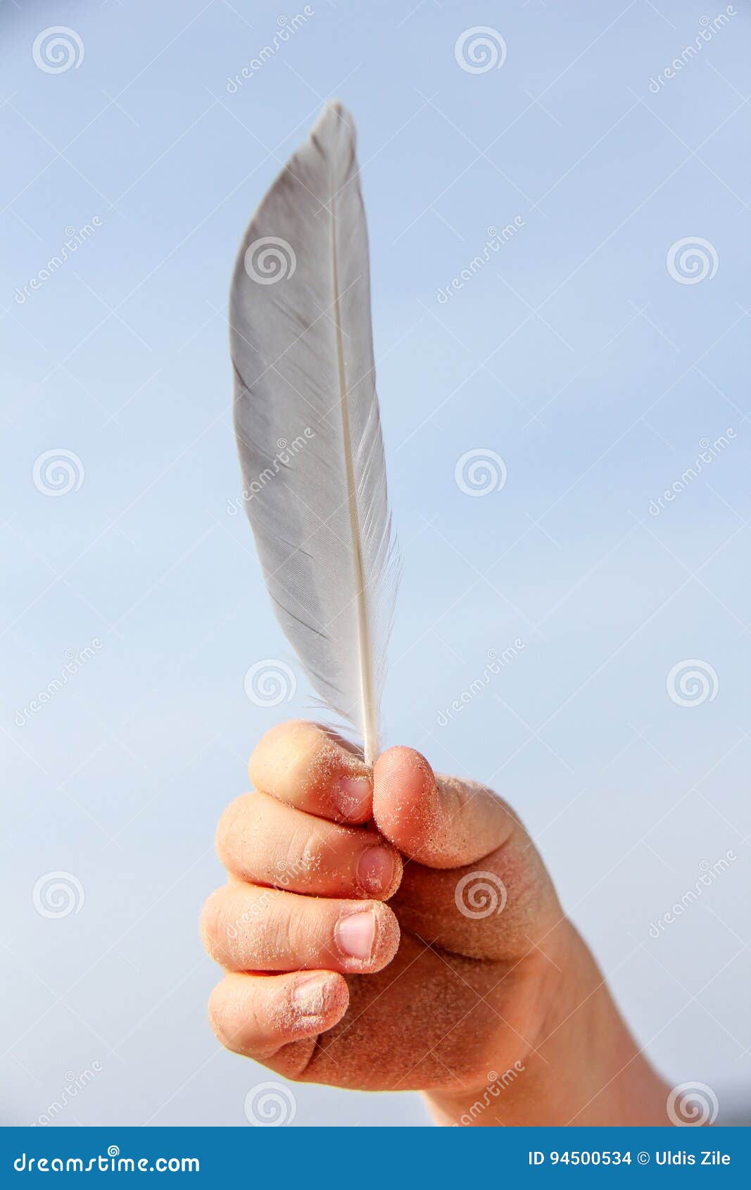 Feather in hand stock photo. Image of pattern, bird, single - 94500534