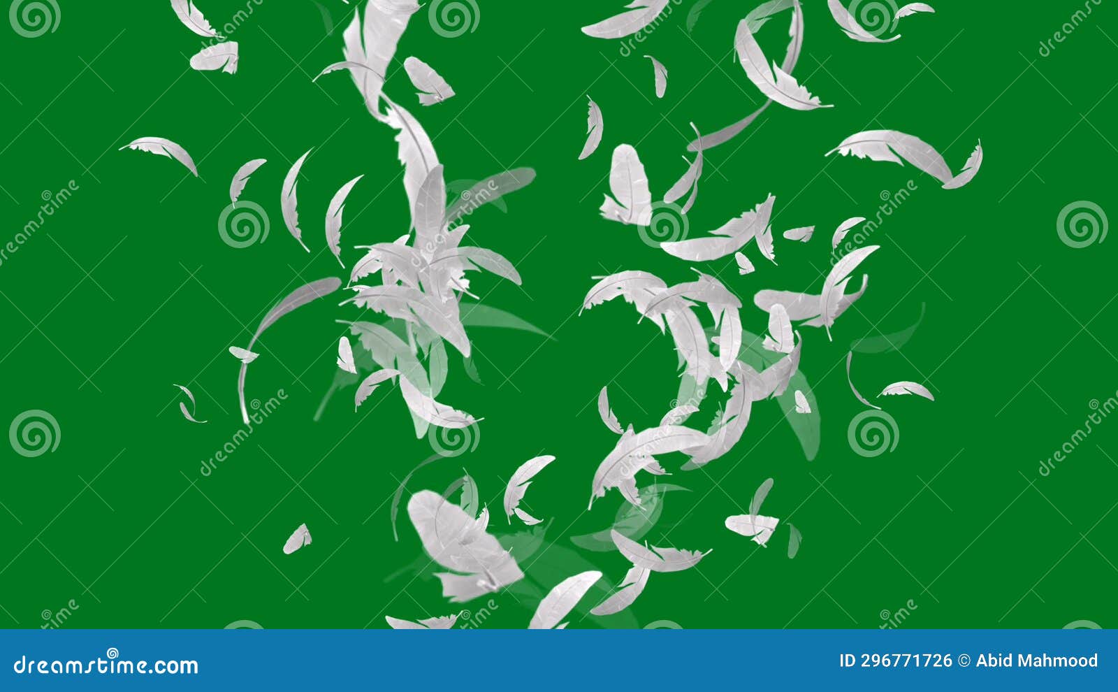 Feather High Quality Green Screen 4k Bacground Stock Footage - Video of ...
