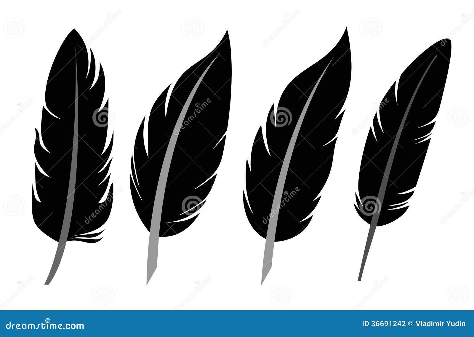 Feather icon set stock vector. Illustration of beautiful - 36691242
