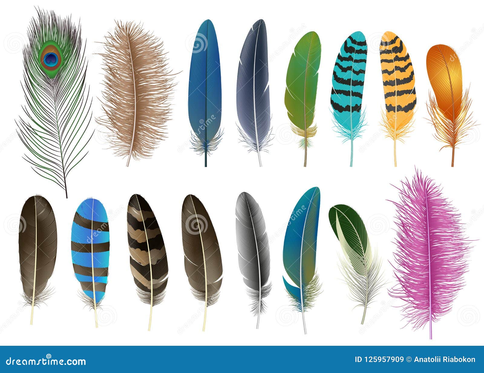 Feather Icon Set, Realistic Style Stock Vector - Illustration of icon ... Feather Icon Set, Realistic Style Stock Vector - Illustration of icon ...