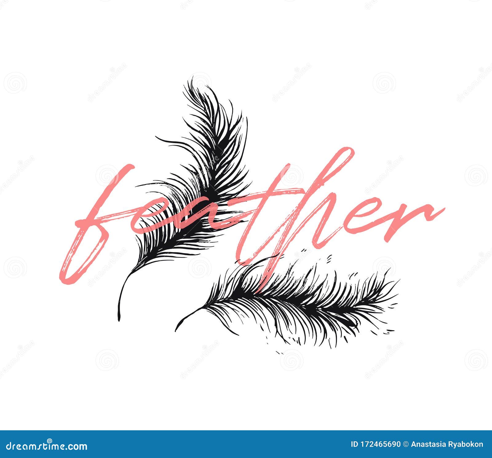 Feather Ink Drawing Vector Isolated Print Stock Vector - Illustration ...