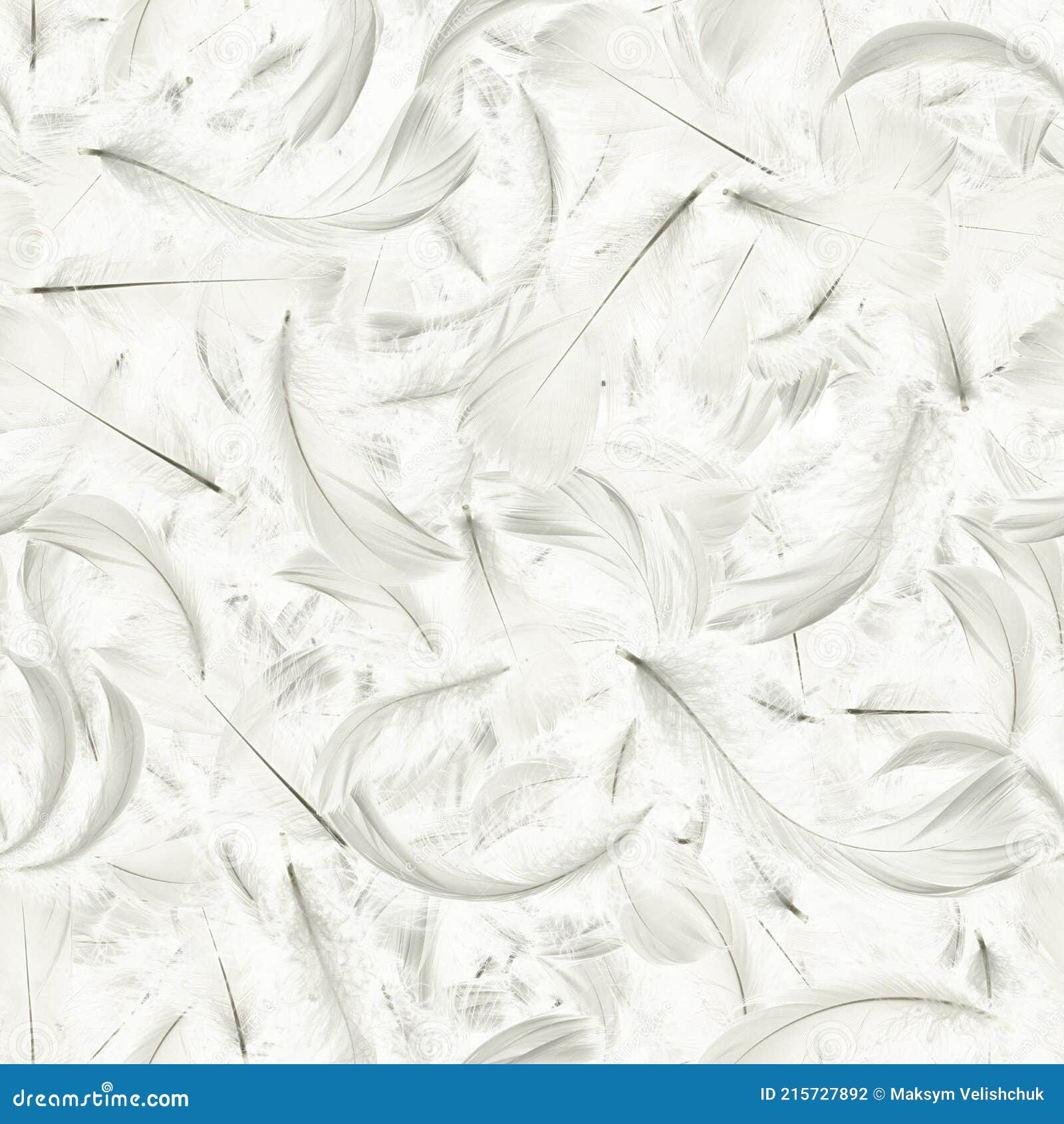 Feather Isolated. Abstract Bird Feather Texture Closeup Falling on ...