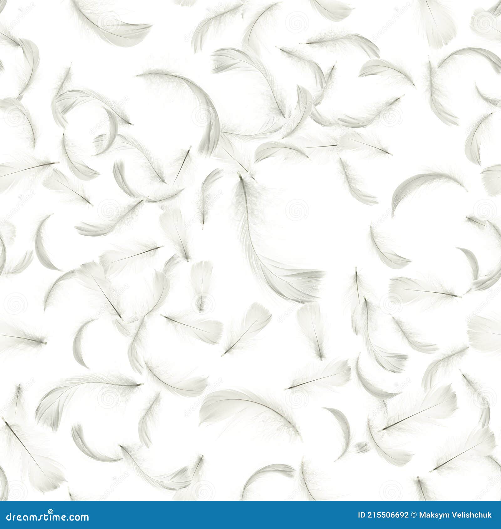 Feather Isolated. Abstract Bird Feather Texture Closeup Falling on ...