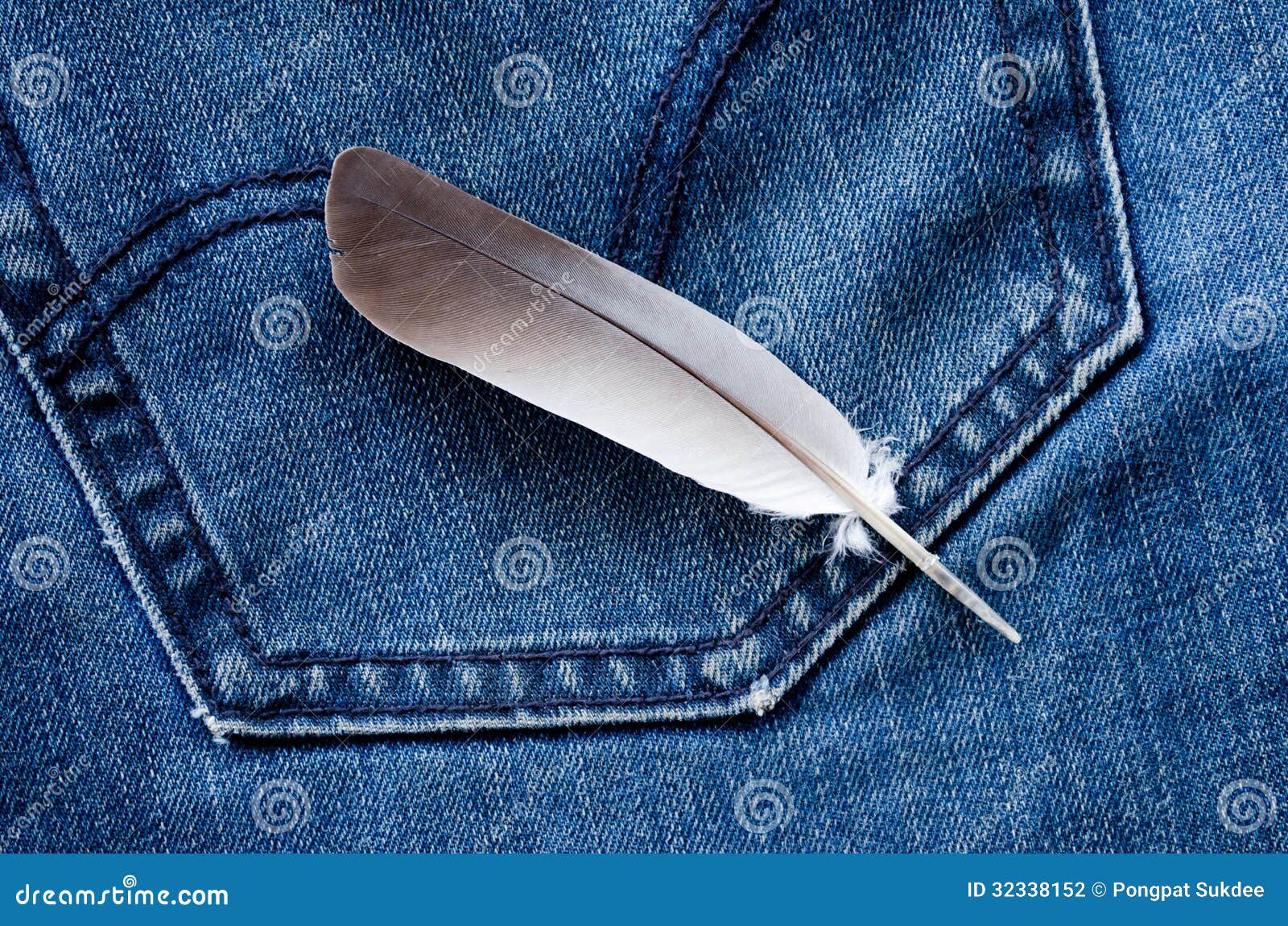 Feather on jeans stock photo. Image of country, wear - 32338152