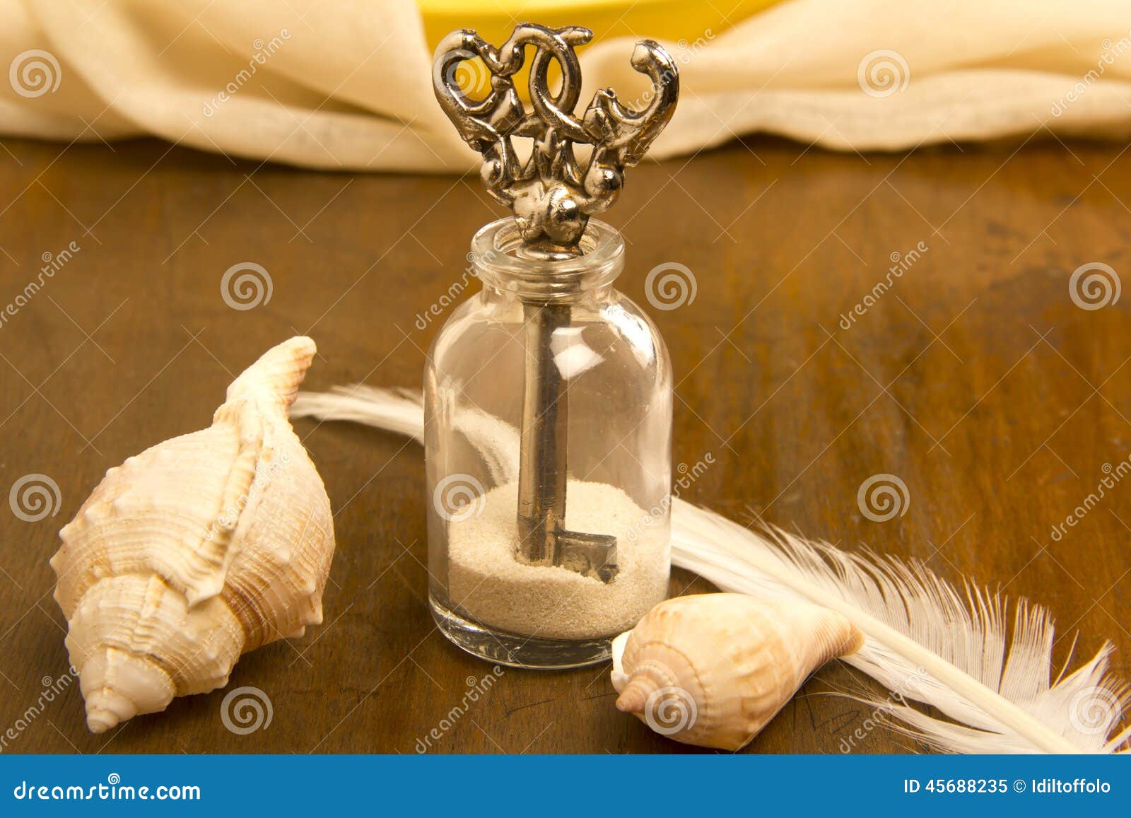 Feather,Key,Sea Shell stock image. Image of creativity - 45688235