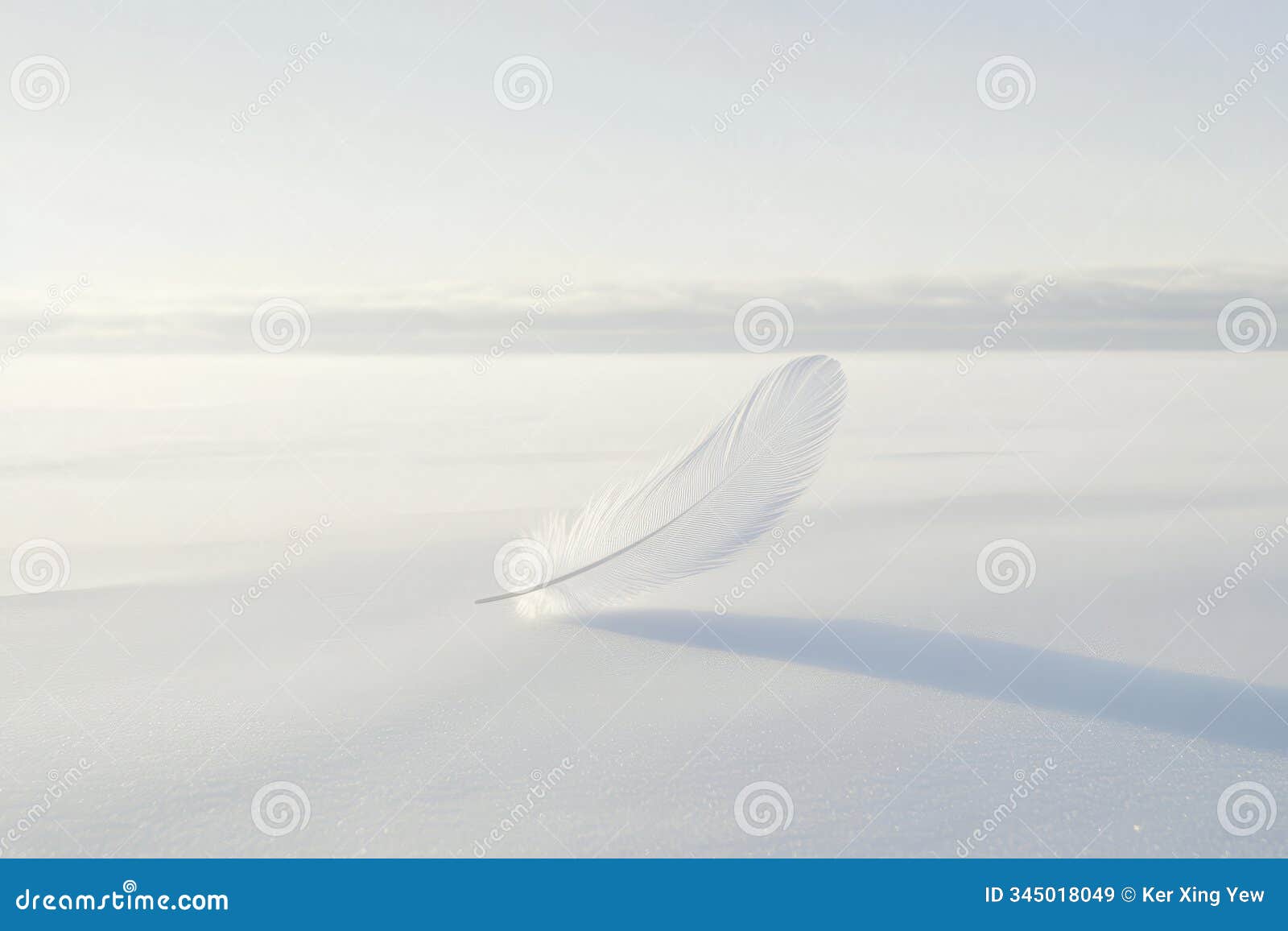 A Feather is Laying on the Snow Stock Illustration - Illustration of ...