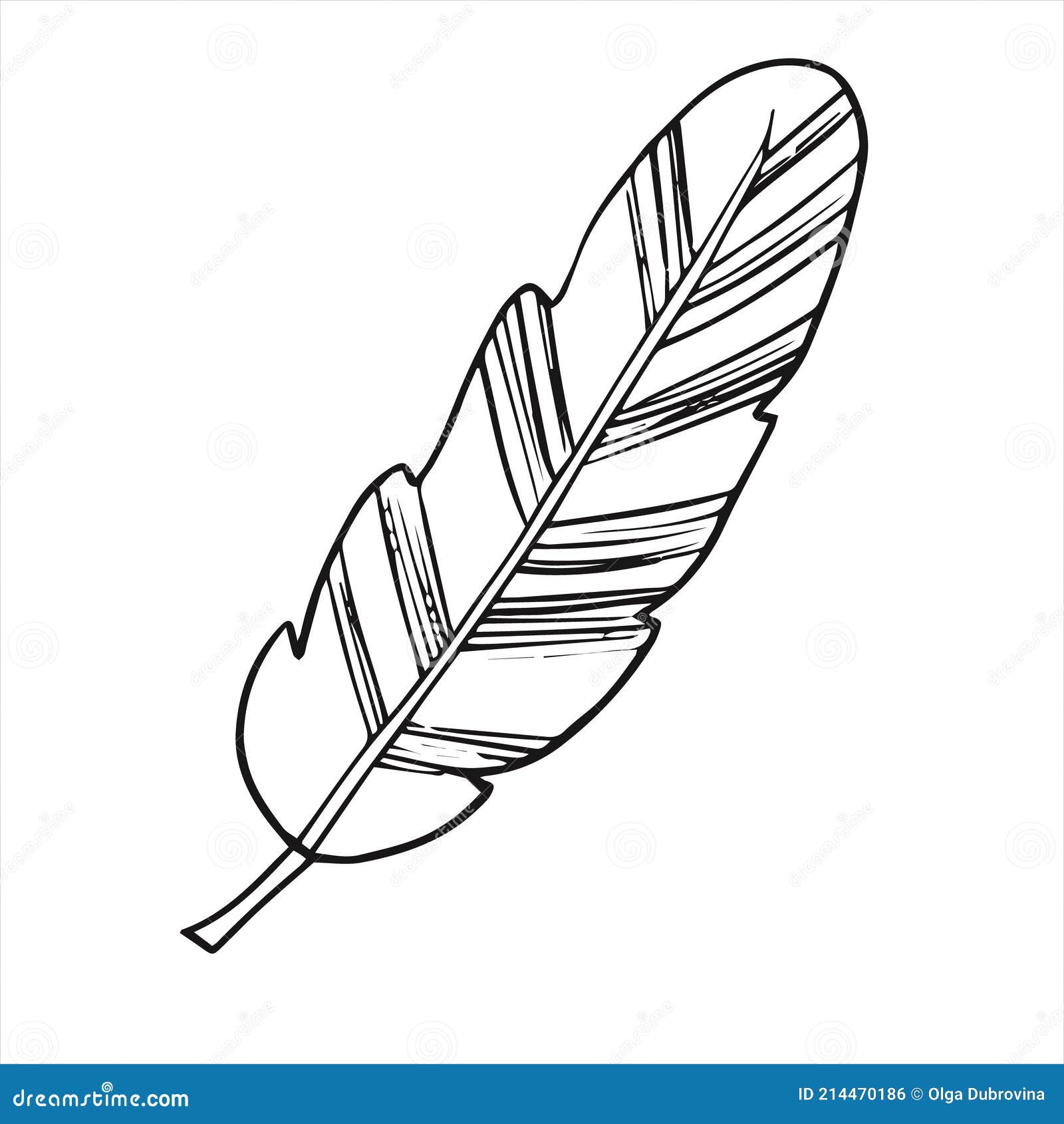 Feather Linear Drawing. Simple Shapes, Minimalism. Natural Elements for ...