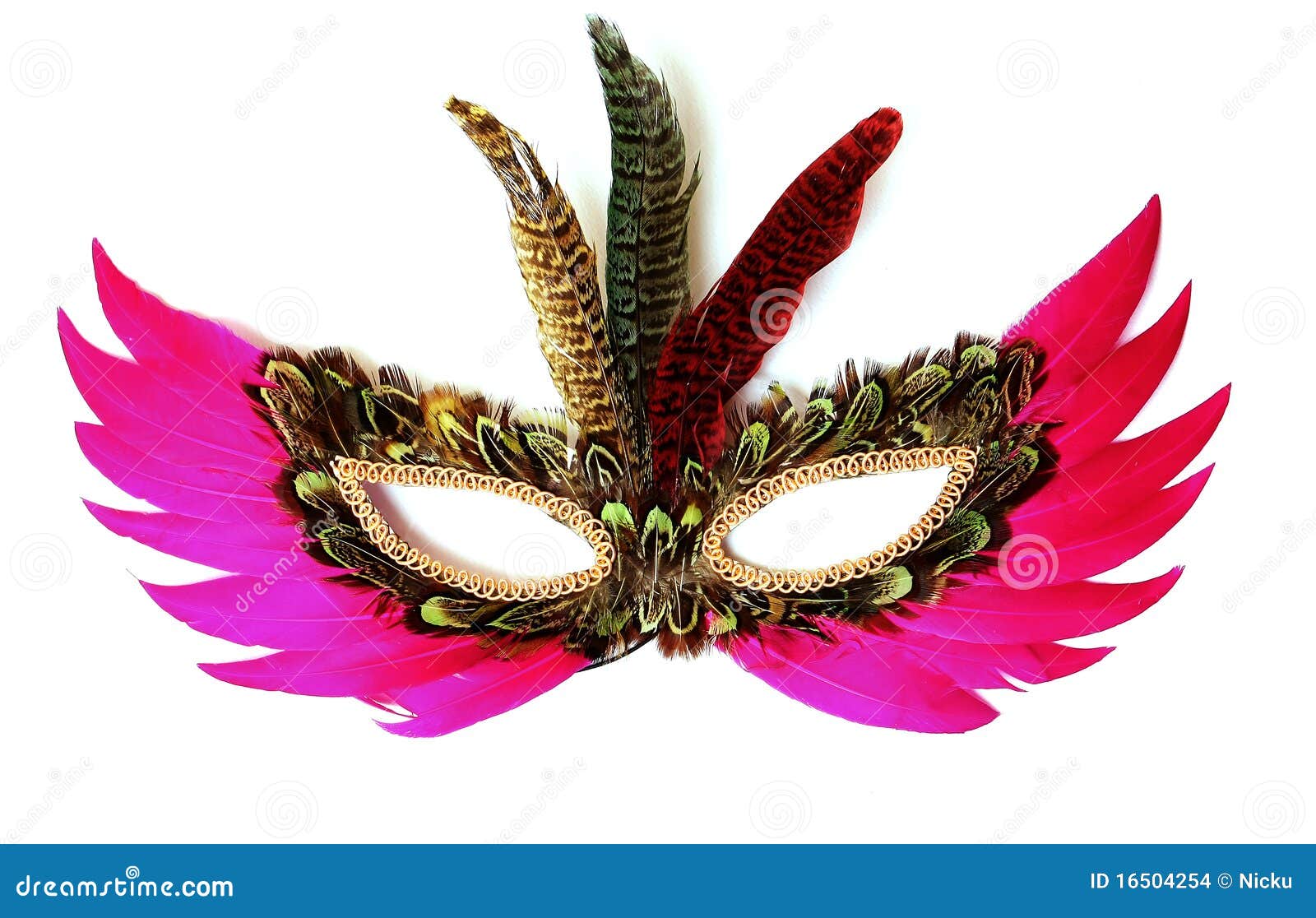 Feather mask stock photo. Image of face, ornate, decoration - 16504254