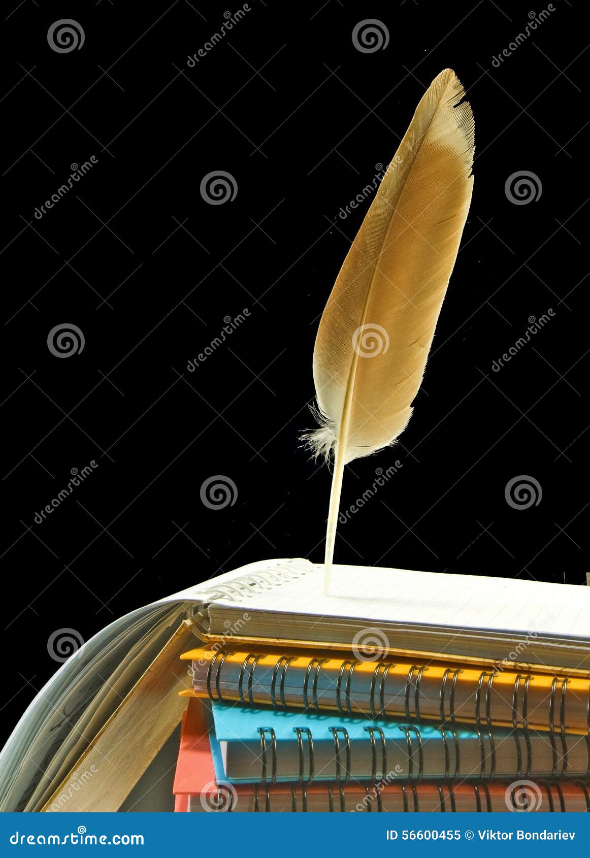 Feather and notebook stock image. Image of pattern, purity - 56600455