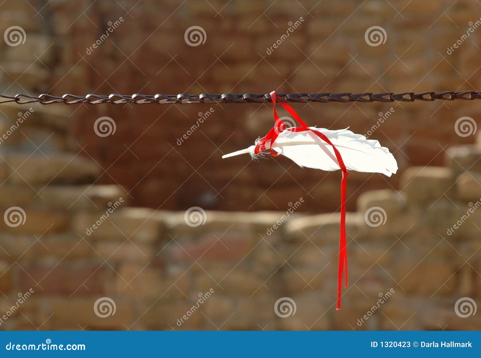 Feather offering stock image. Image of religious, white - 1320423