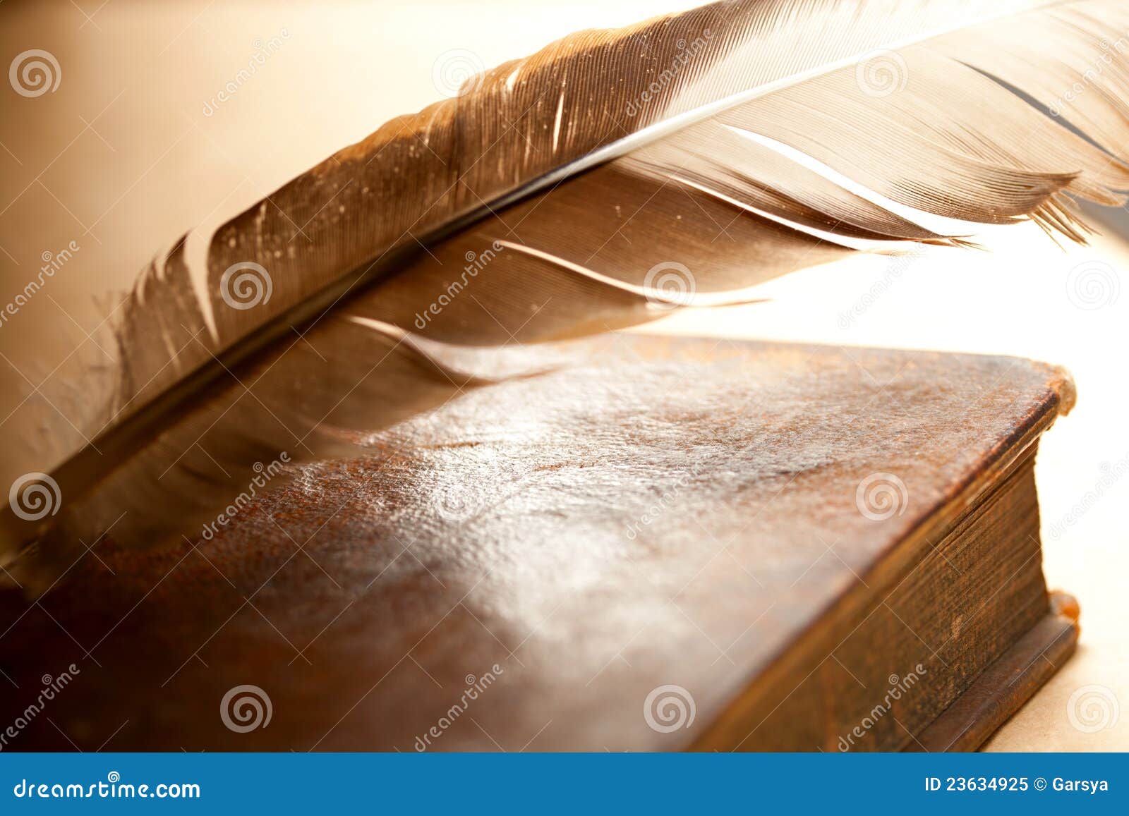 Feather and old book stock image. Image of grungy, literature - 23634925