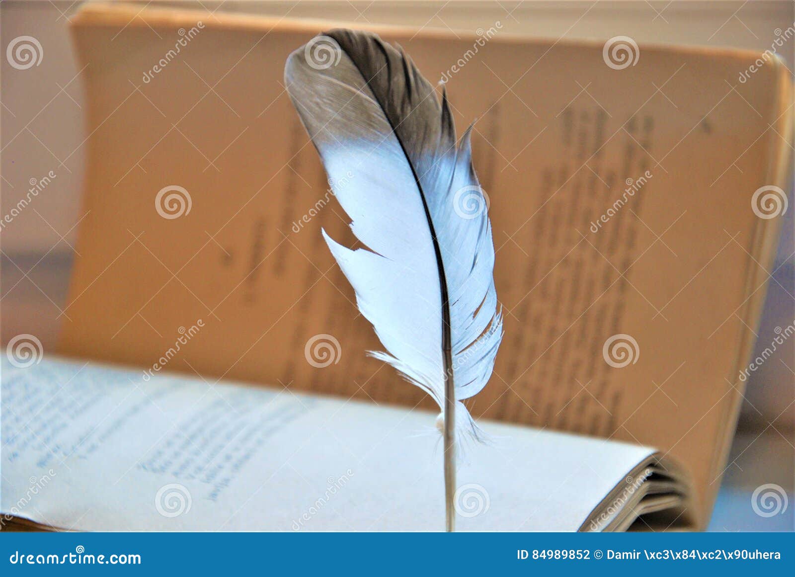Feather and old book stock photo. Image of reading, education - 84989852