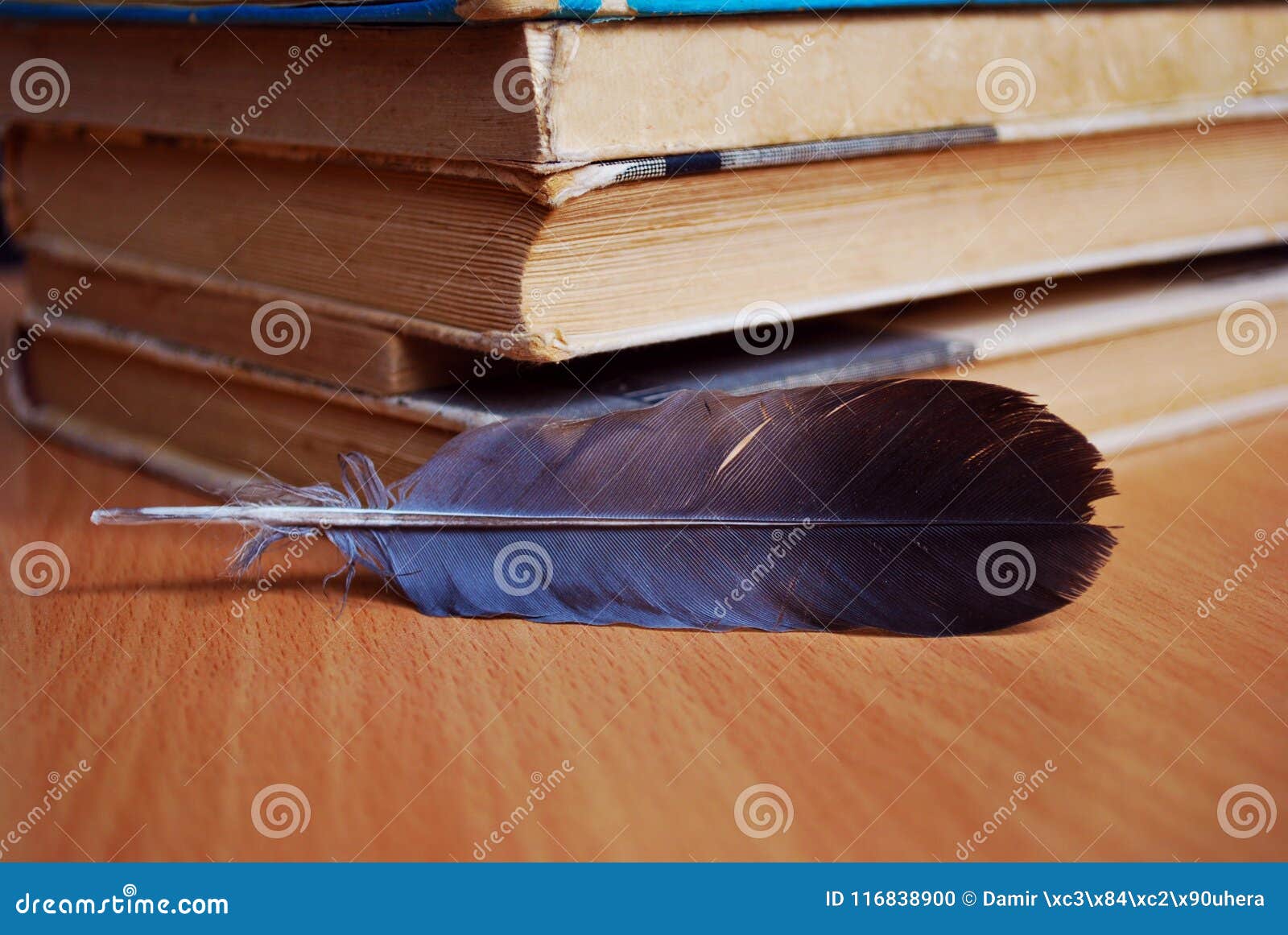 Feather and old books stock photo. Image of learn, education - 116838900