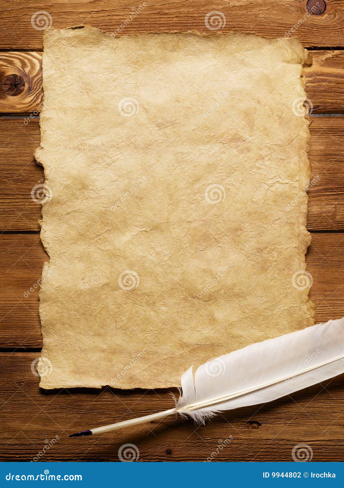 Old Letter Paper With Feather