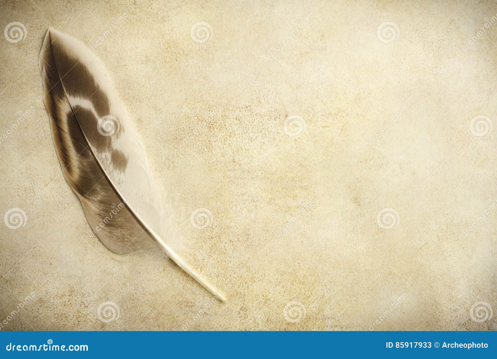 Feather and paper stock image. Image of feather, knowledge - 85917933